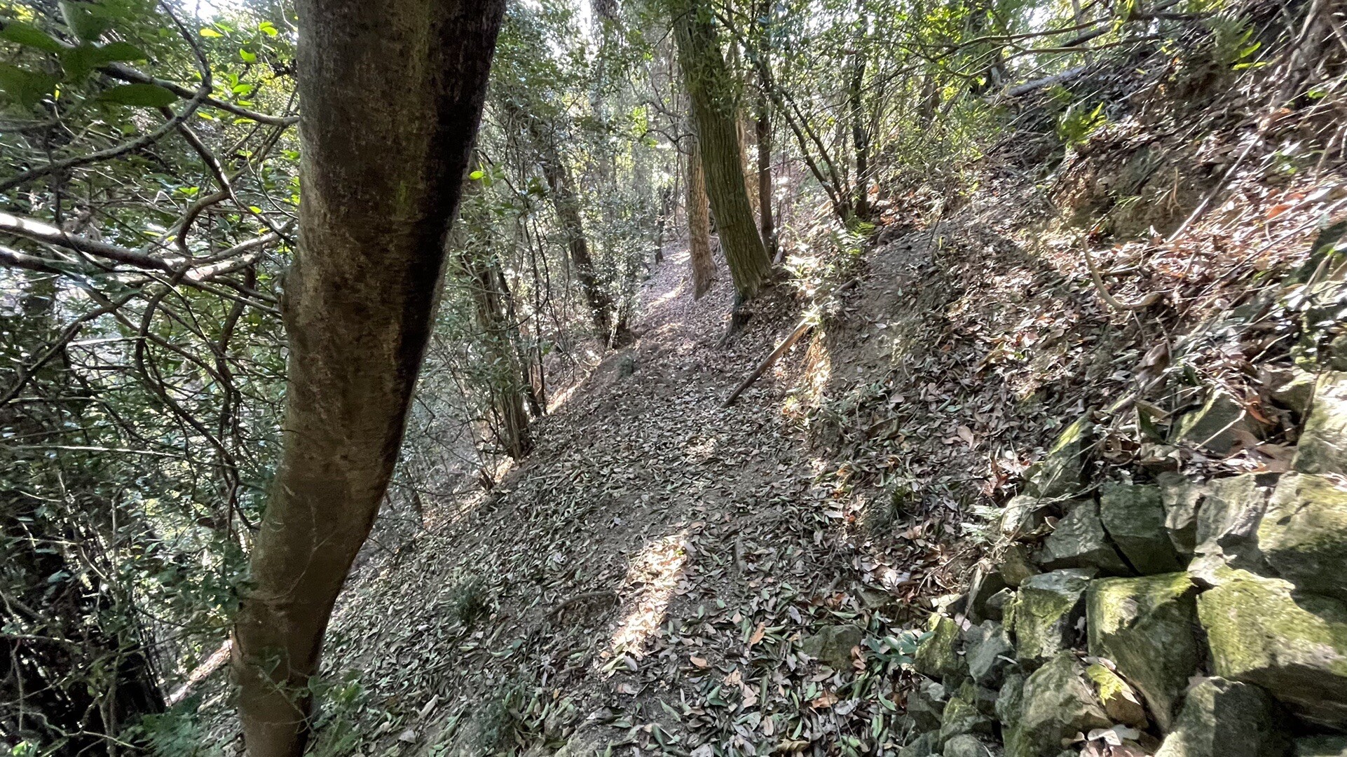 shiryoさんの投稿したフィールドメモ | YAMAP / ヤマップ