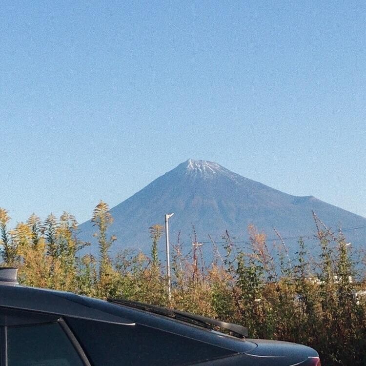 昨日の雪は飛んでしまったようです。 / machiさんのモーメント | YAMAP / ヤマップ