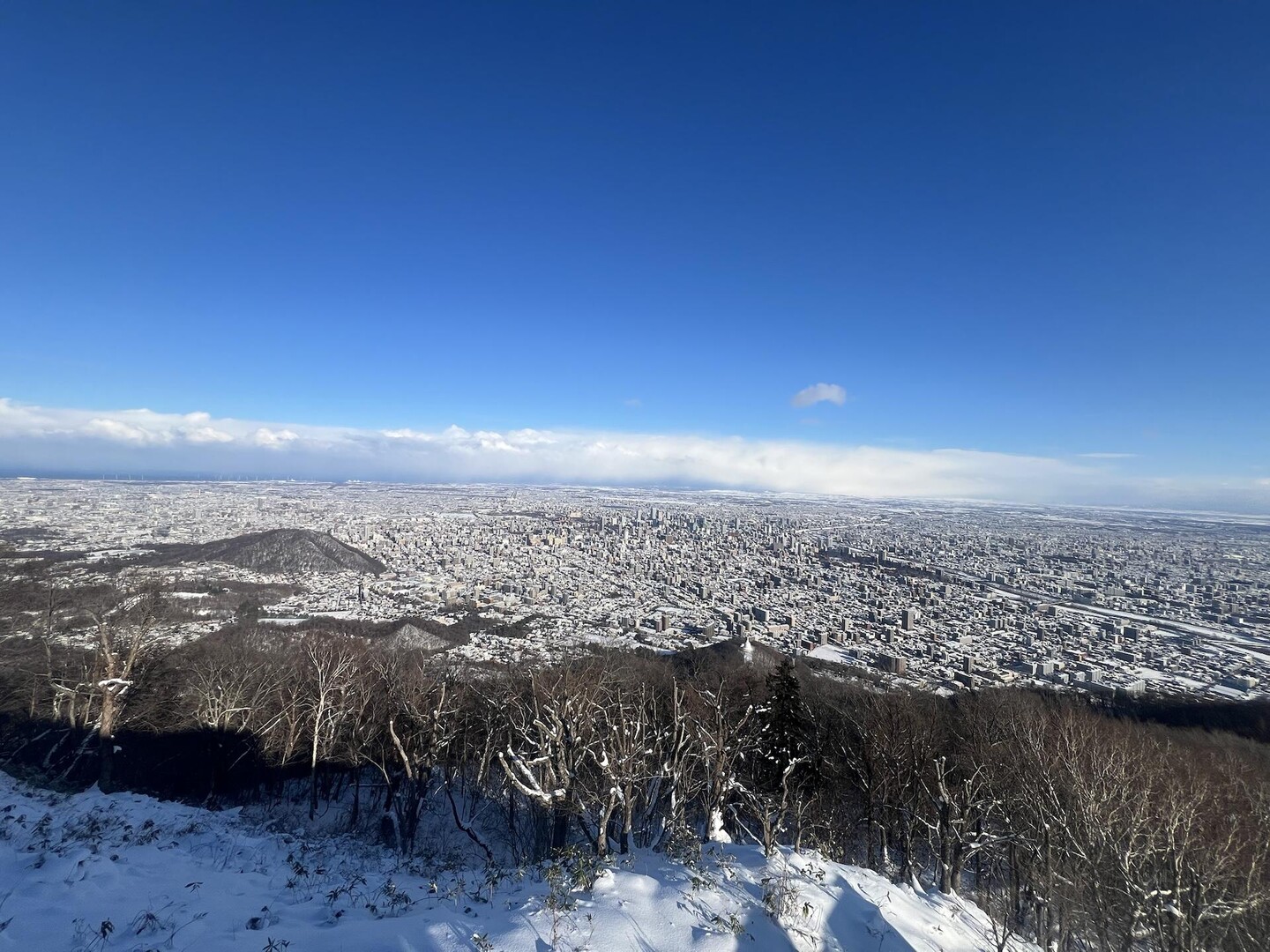 藻岩山 / tommyさんの藻岩山の活動データ | YAMAP / ヤマップ
