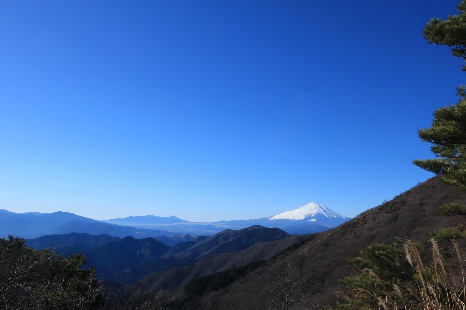堀山・塔ノ岳 / kokiさんの丹沢山の活動データ | YAMAP / ヤマップ