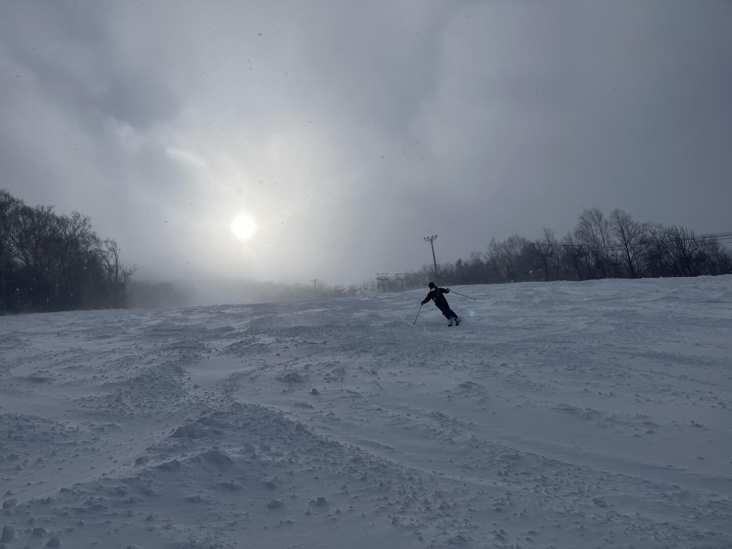 前森山 / トミーさんの岩手山・八幡平・安比高原 50km トレイルの活動データ | YAMAP / ヤマップ