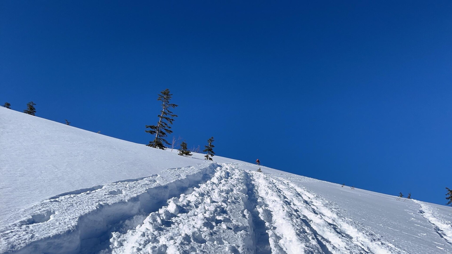 3000m級の山々を見に！十石山 / しなもんさんの乗鞍岳の活動日記 | YAMAP / ヤマップ
