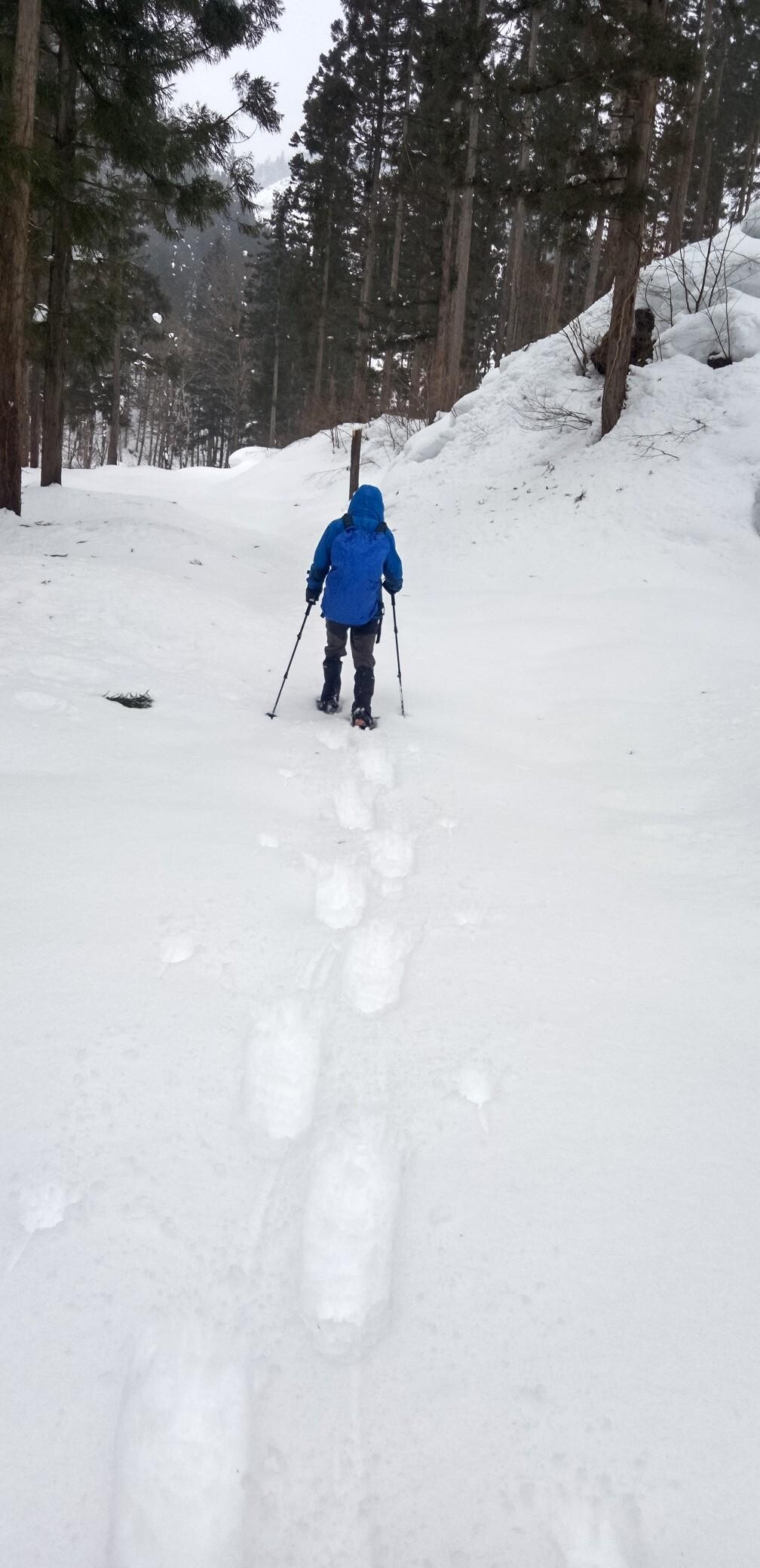 西股山2023/2/19 / katuさんの青森市の活動データ | YAMAP / ヤマップ