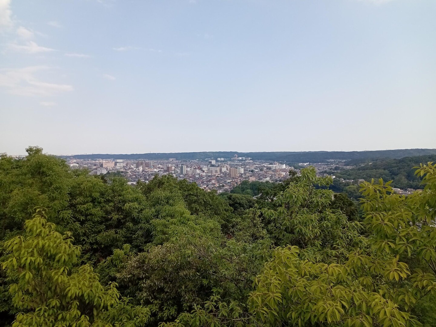 LSD 飯能界隈 / あきさんの天覧山・多峯主山・天覚山の活動データ | YAMAP / ヤマップ