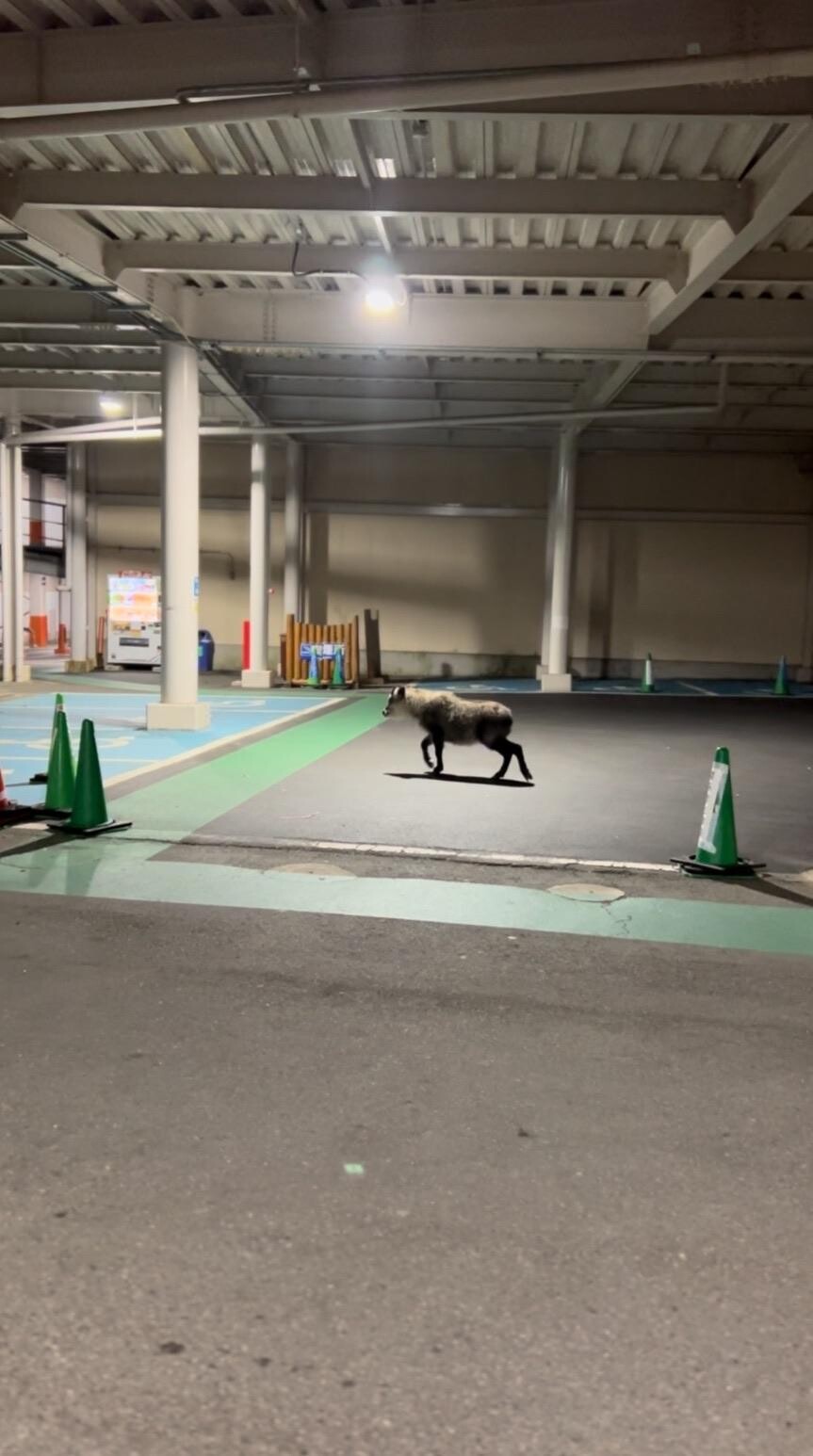 #YAMAPフォトコンテスト2023 #... / Mt.Gさんのモーメント | YAMAP / ヤマップ