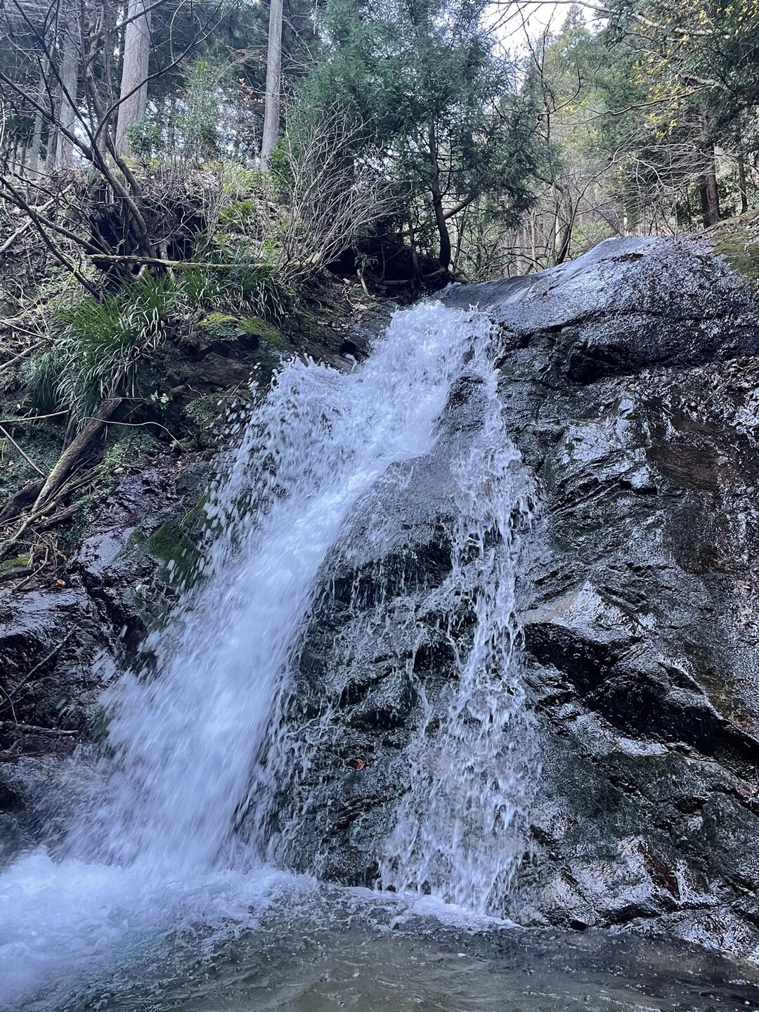 矢草ノ頭・大山 / iChiさんの大山の活動データ | YAMAP / ヤマップ
