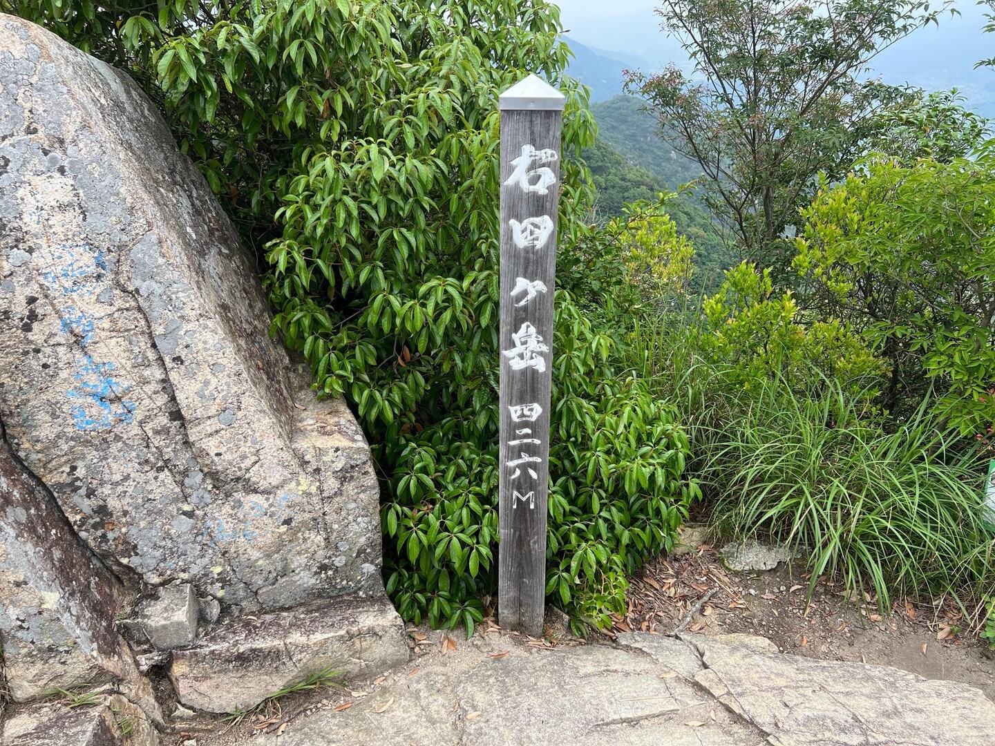 右田ヶ岳-2023-06-18 / ケンケンさんの右田ヶ岳・西目山・楞厳寺山の活動データ | YAMAP / ヤマップ