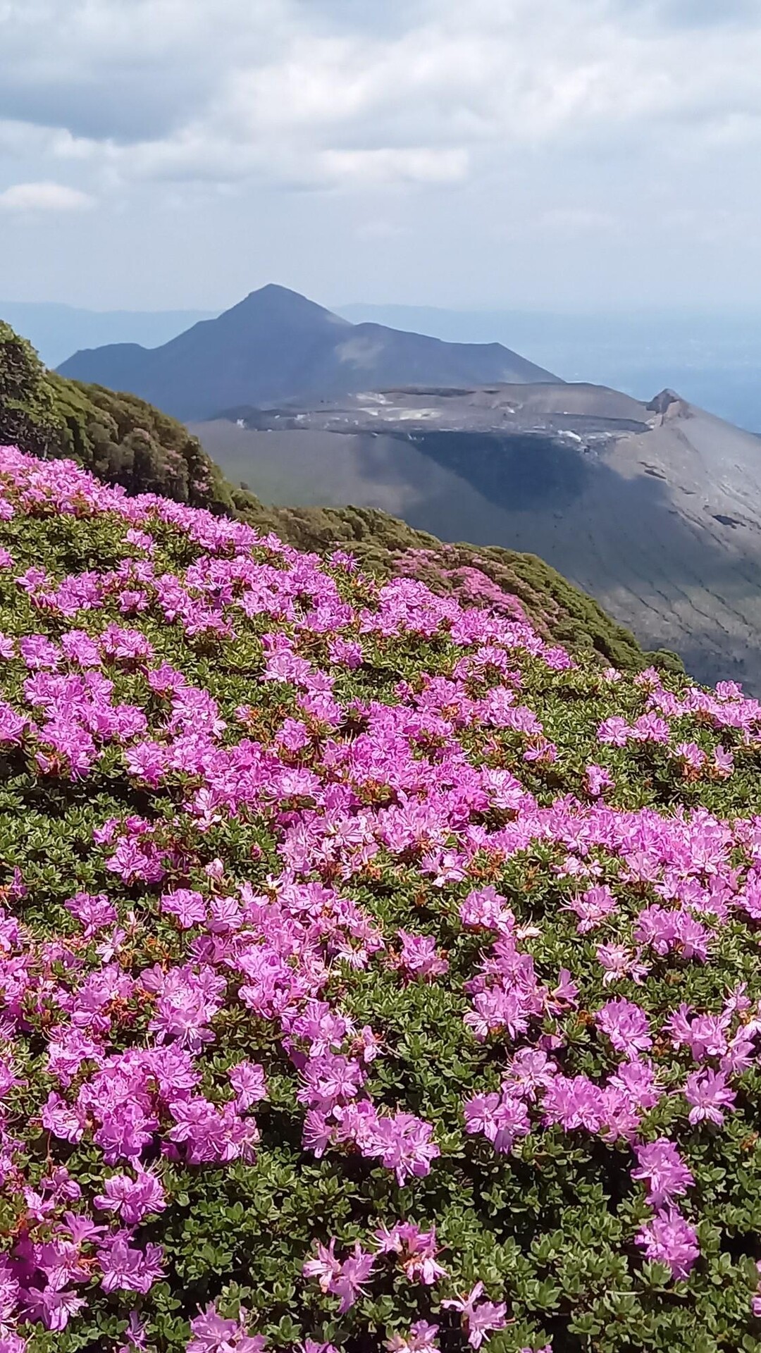 絶景の霧島連山を見せたくて(PART1)韓国岳・大浪池🏃‍♂️🏃‍♀️🏃‍♀️💨🗻🌸（霧島山） / みやくんさんさんの霧島山・韓国岳・高千穂峰・夷守岳・烏帽子岳の活動日記 | YAMAP / ヤマップ