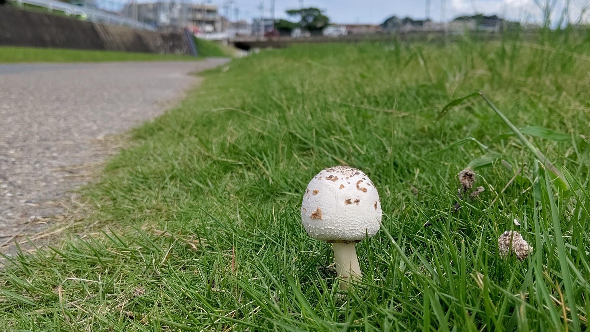 91😆愛宕山 / megさんの能古島の活動データ | YAMAP / ヤマップ