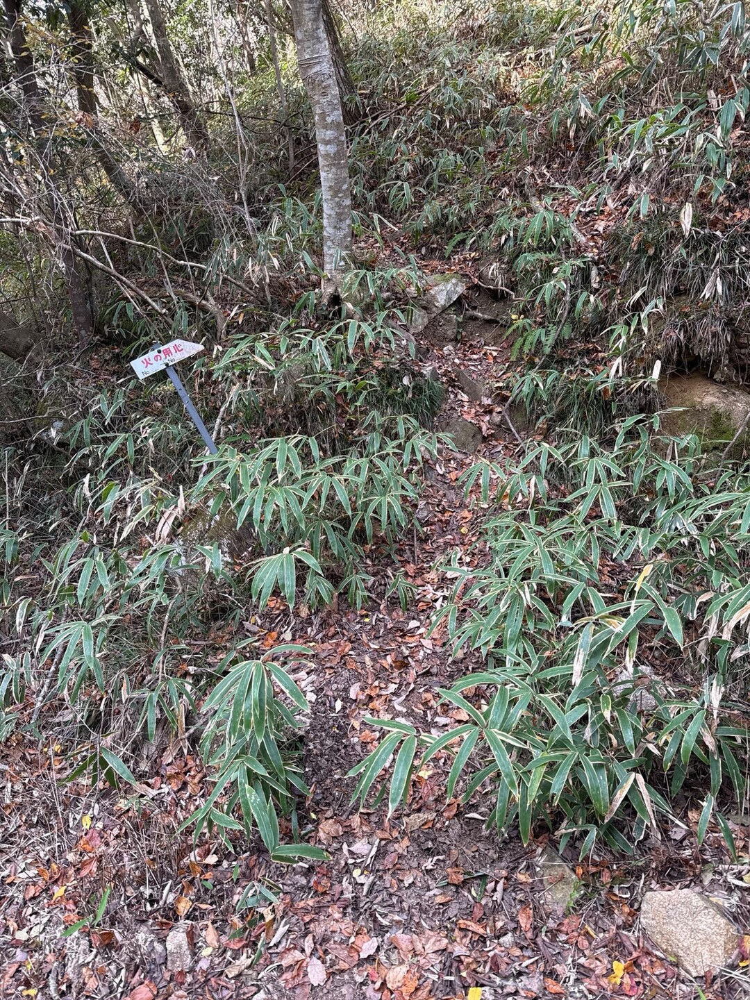 zenzi さんの投稿したフィールドメモ | YAMAP / ヤマップ