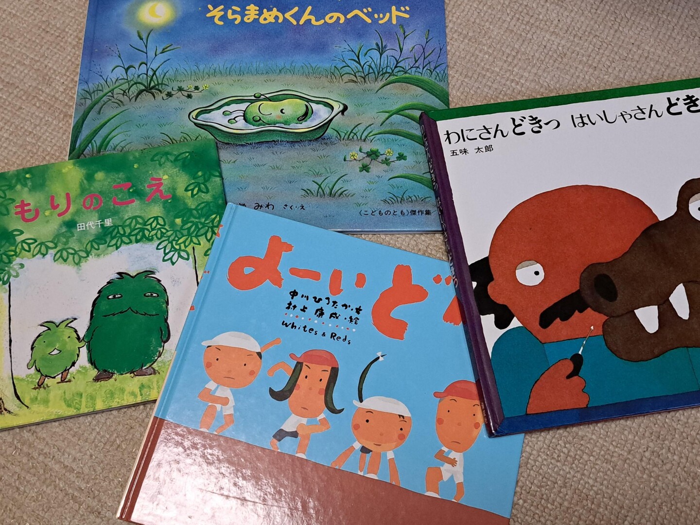 懐かしさにつつまれて☺️ (山ではありま... / DSHさんのモーメント | YAMAP / ヤマップ