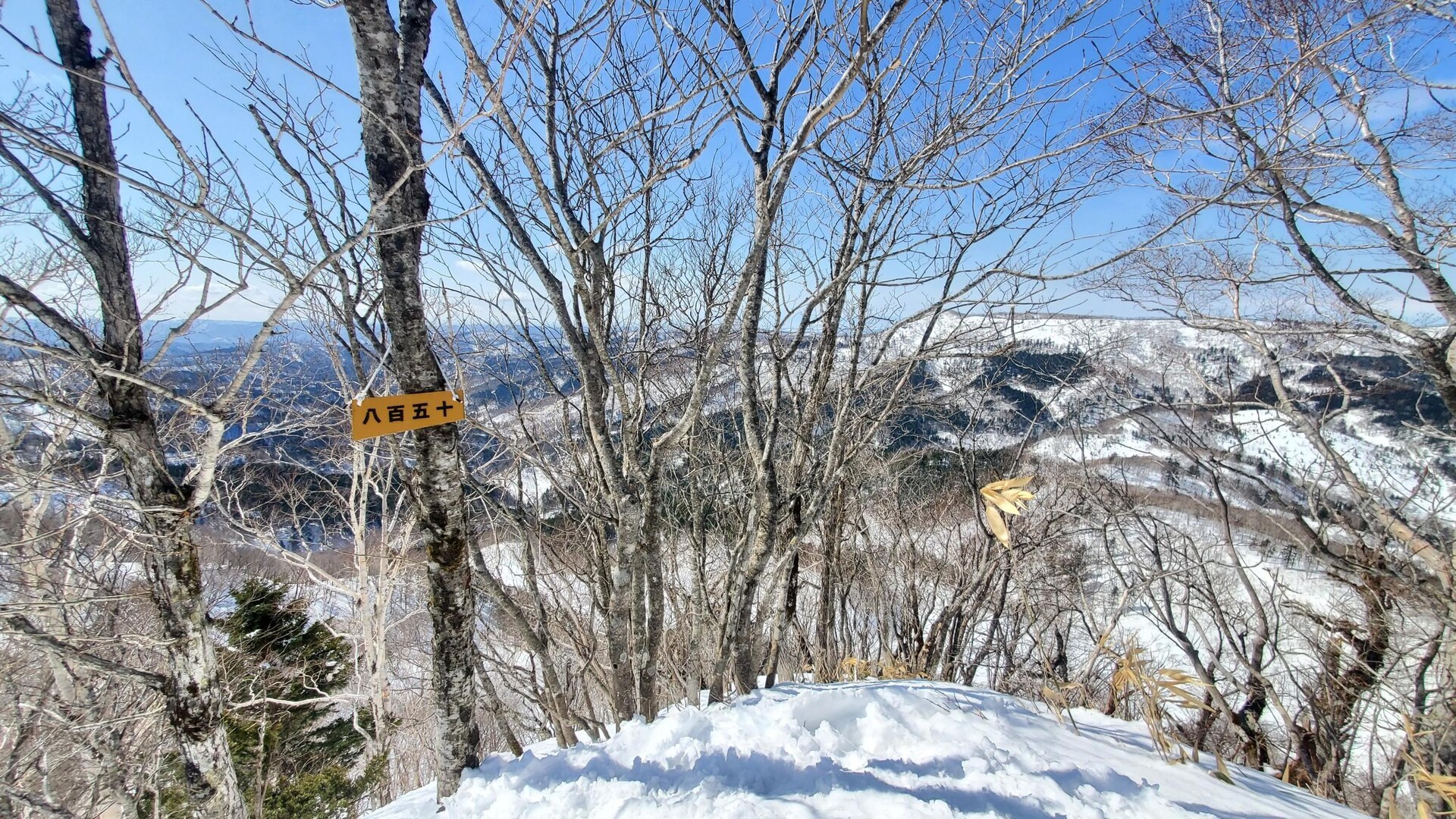 八百五十 / agaさんの八百五十の活動データ | YAMAP / ヤマップ