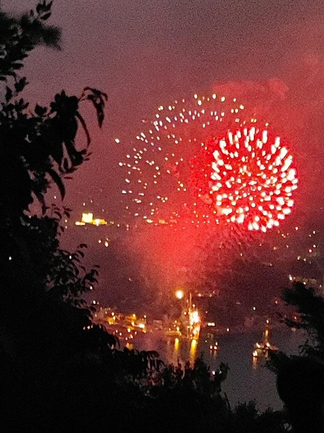 浄土寺山（瑠璃山）尾道住吉花火まつり🎆 / GHハコさんの浄土寺山（瑠璃山）の活動データ | YAMAP / ヤマップ