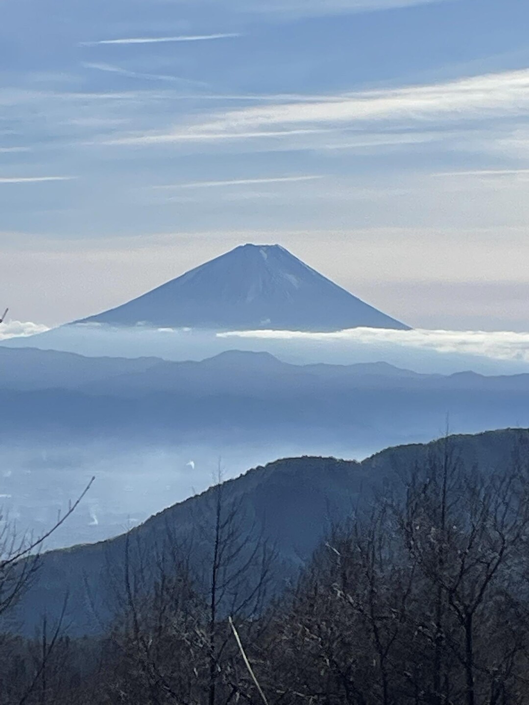 荒倉山 / tatariiさんの鳳凰山・地蔵岳・観音岳・薬師岳の活動データ | YAMAP / ヤマップ