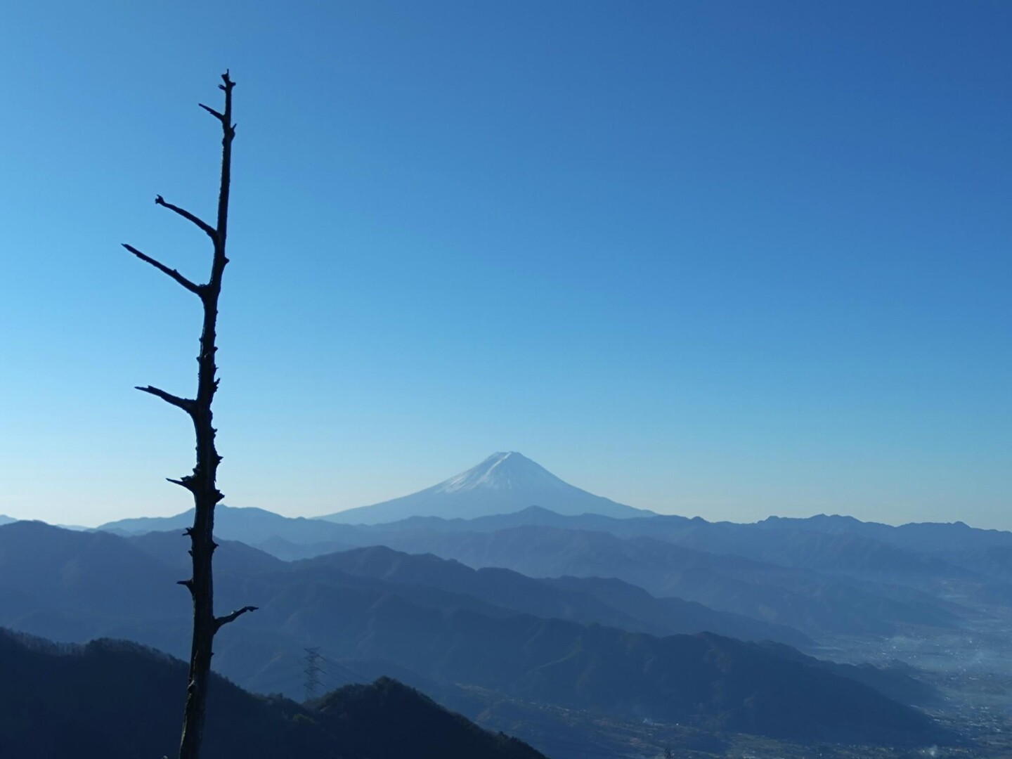 ハンゼノ頭・鈴庫山・黒川鶏冠山 / moneさんの倉掛山・鈴庫山・小倉山の活動データ | YAMAP / ヤマップ