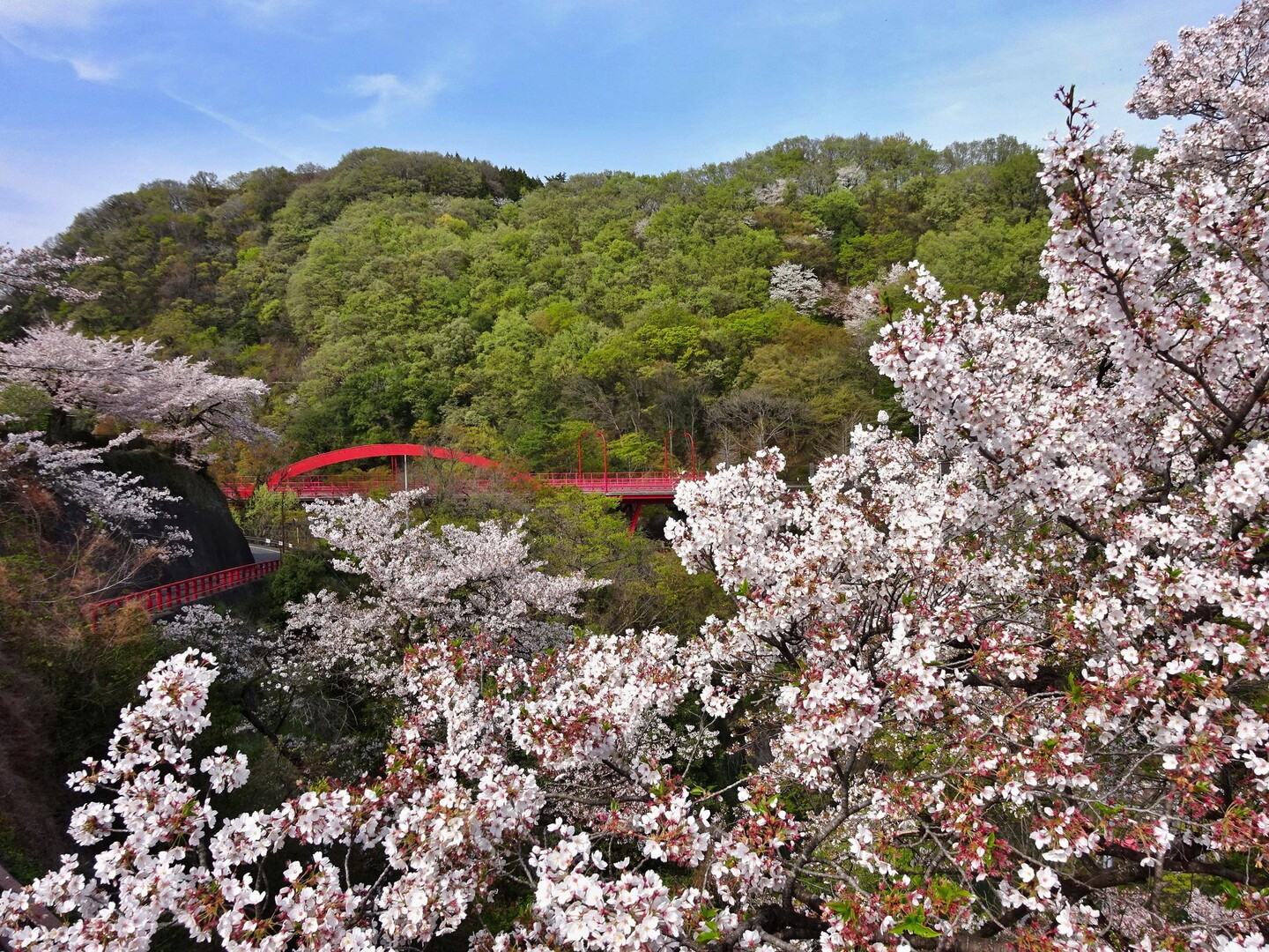 吾妻山～鹿田山～高津戸峡 / aomoriさんの鳴神山・吾妻山の活動データ | YAMAP / ヤマップ