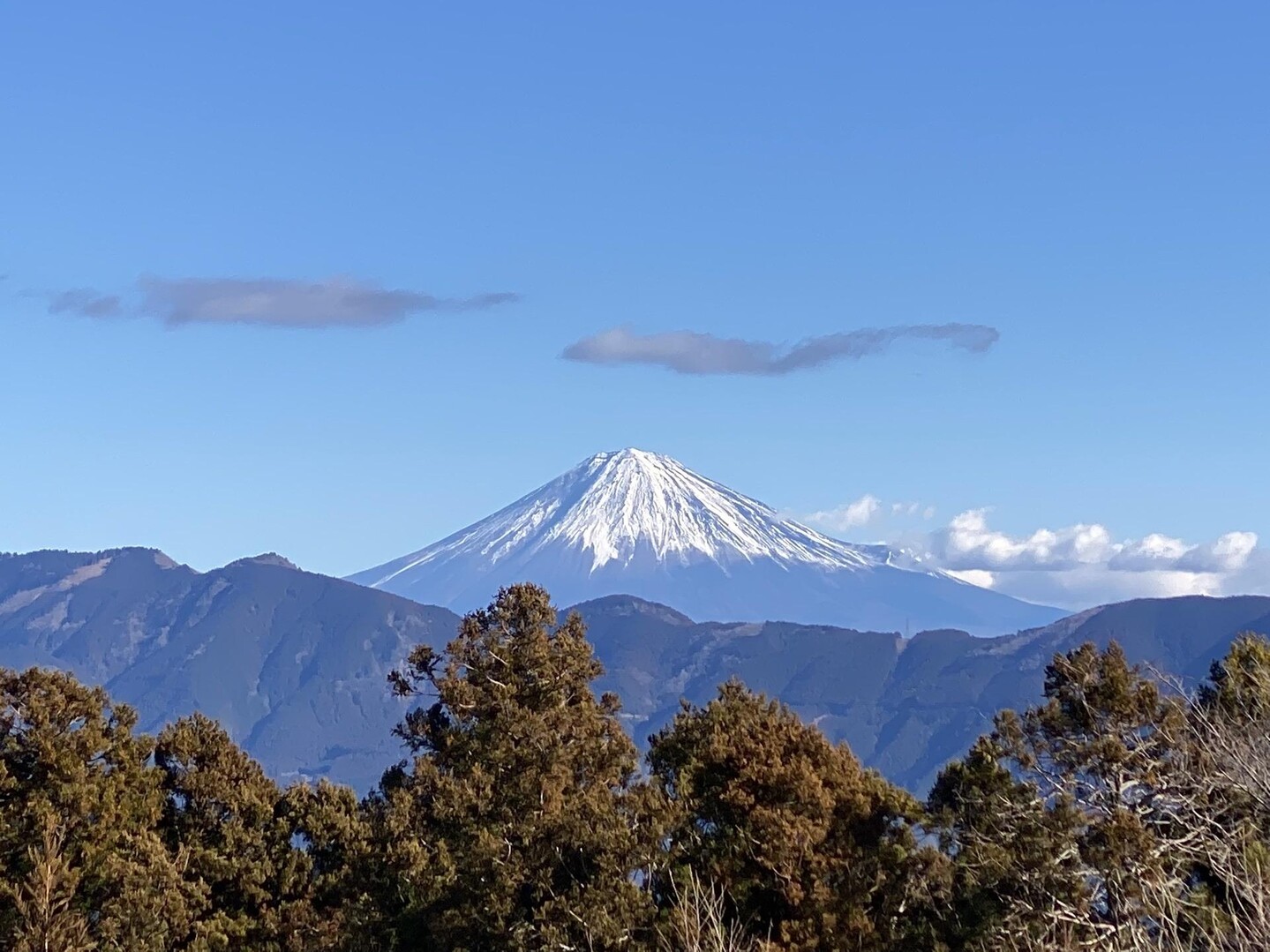 高山（牛ヶ峰） / Hase100さんの突先山・高山（牛ヶ峰）・大棚山の活動データ | YAMAP / ヤマップ