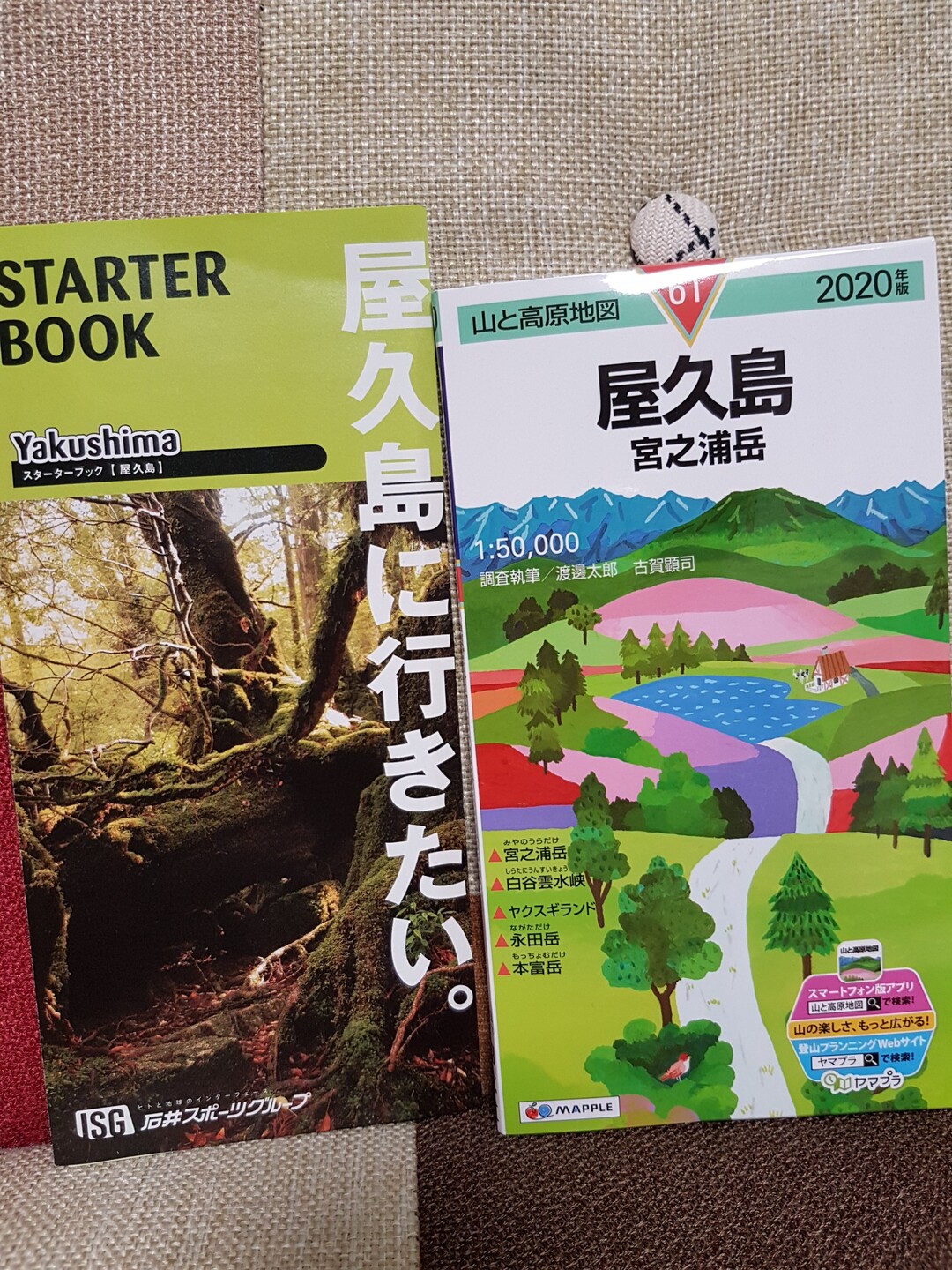💚屋久島に行きたい。💚 / ろつおさんのモーメント | YAMAP / ヤマップ
