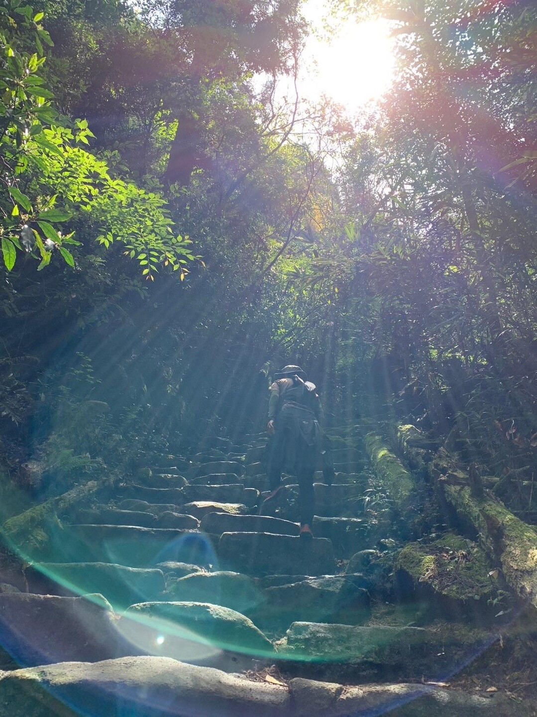 宝満山 / yucoさんの宝満山・三郡山・若杉山の活動データ | YAMAP / ヤマップ