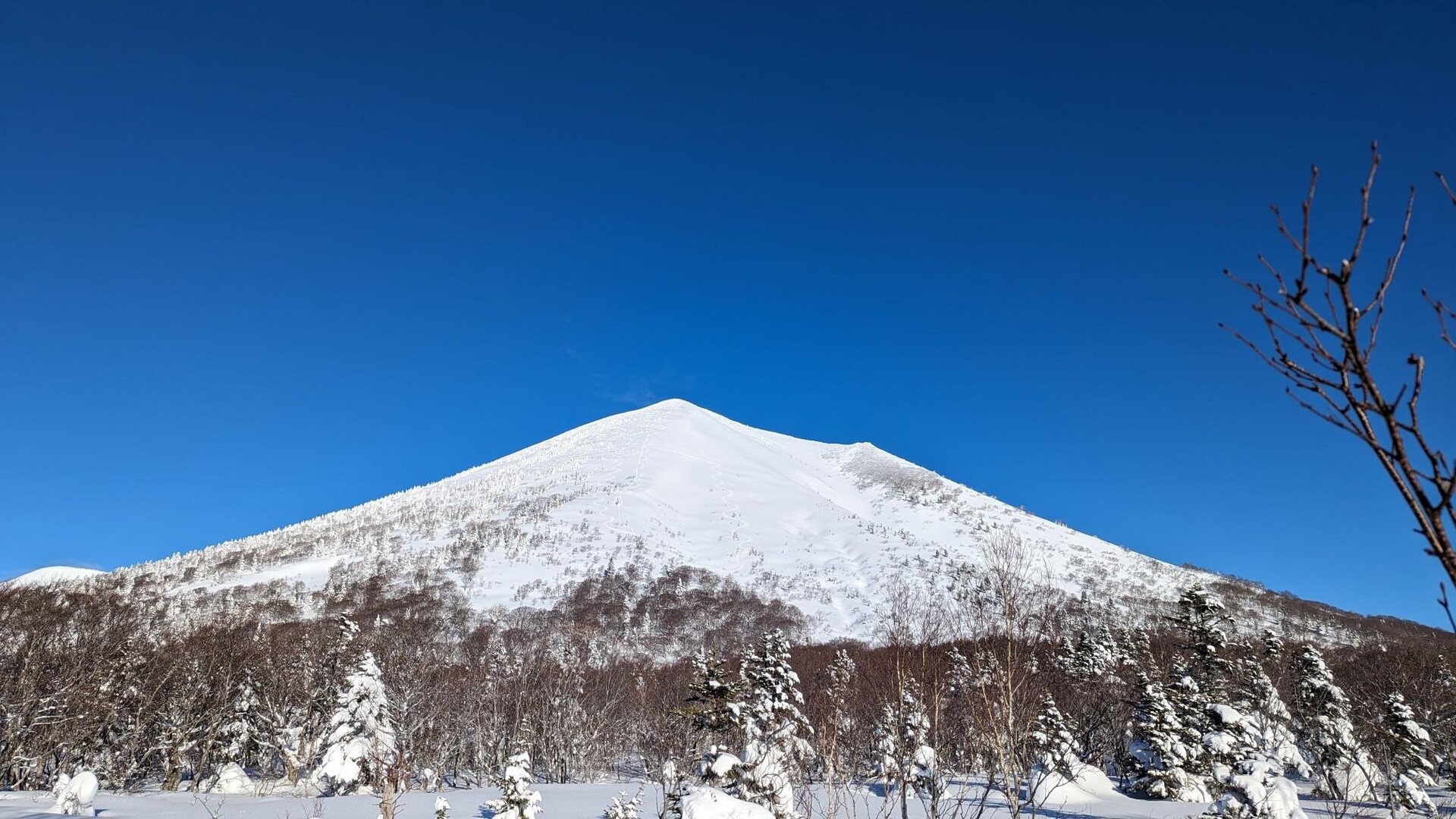 高田大岳 八甲田 / RS-1 PHD さんの八甲田山・高田大岳・雛岳の活動データ | YAMAP / ヤマップ