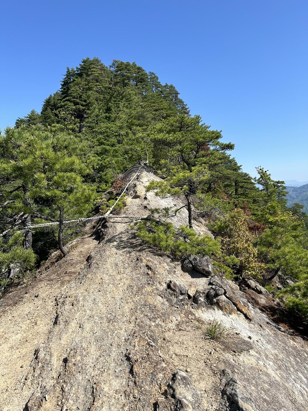 京ヶ倉・大城 / すずこさんの京ヶ倉・大城の活動データ | YAMAP / ヤマップ