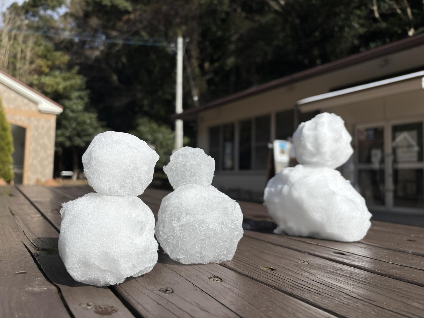 三日月山 / Solidaさんの立花山・三日月山・城ノ越山の活動データ | YAMAP / ヤマップ