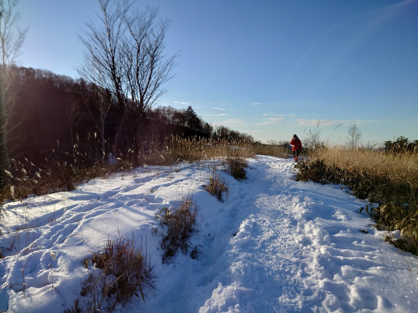 蛇峠山 / isoさんの大川入山・横岳の活動データ | YAMAP / ヤマップ