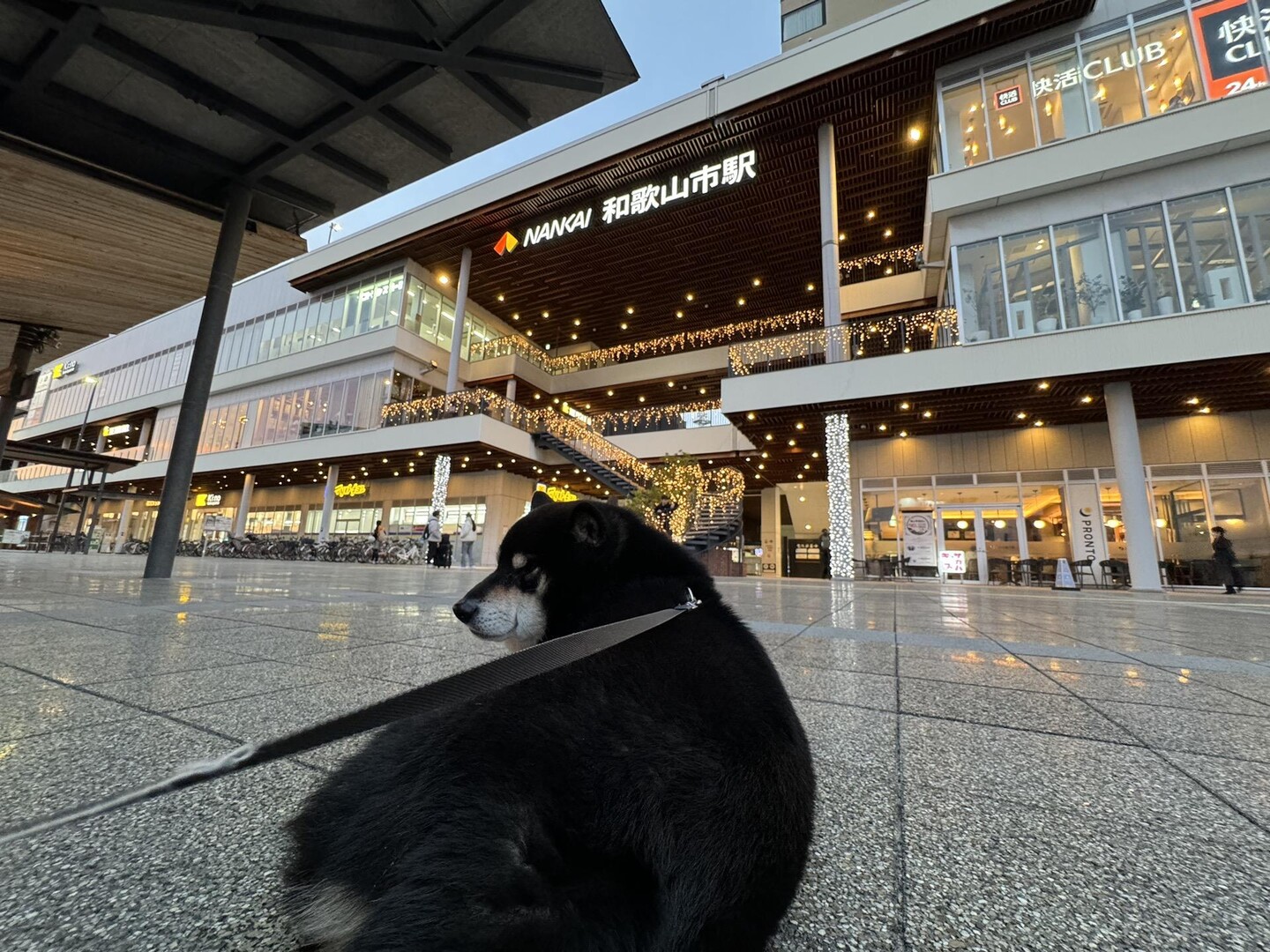 和歌山城から和歌山市駅 / ta614さんのウォーキングの活動データ | YAMAP / ヤマップ