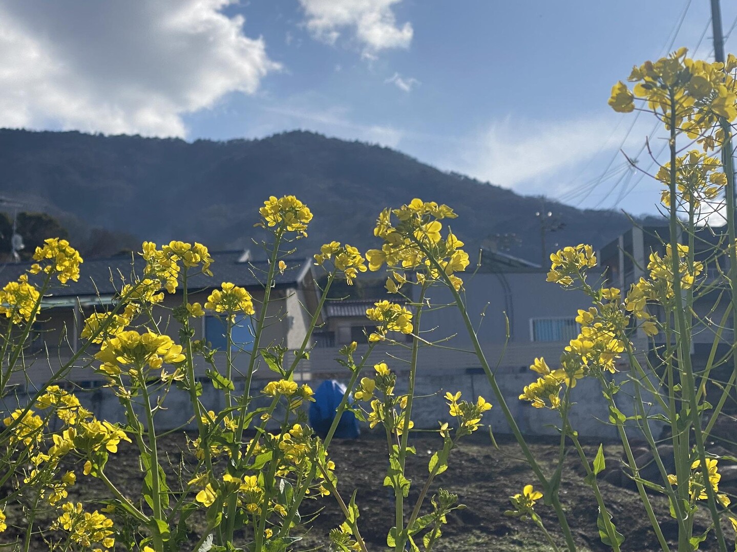 龍門山 / Yukakoさんの龍門山・飯盛山の活動データ | YAMAP / ヤマップ