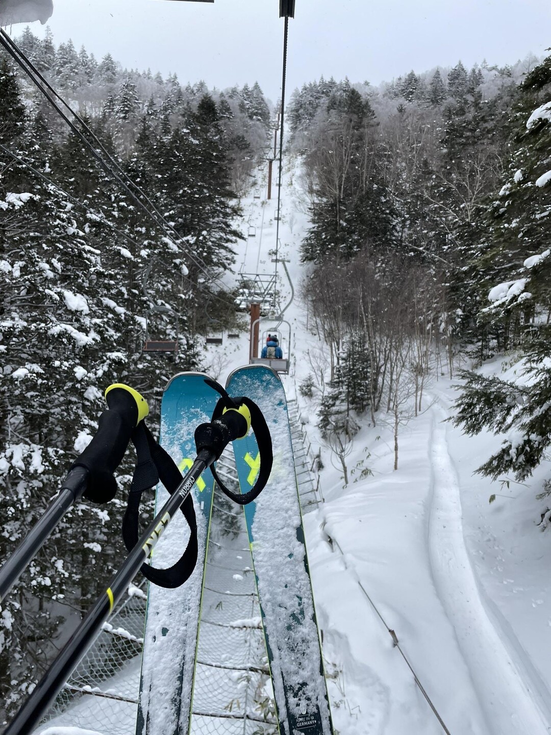 いよいよトップシーズン。 1ヶ月ぶりの木... / lucky taxiさんのモーメント | YAMAP / ヤマップ
