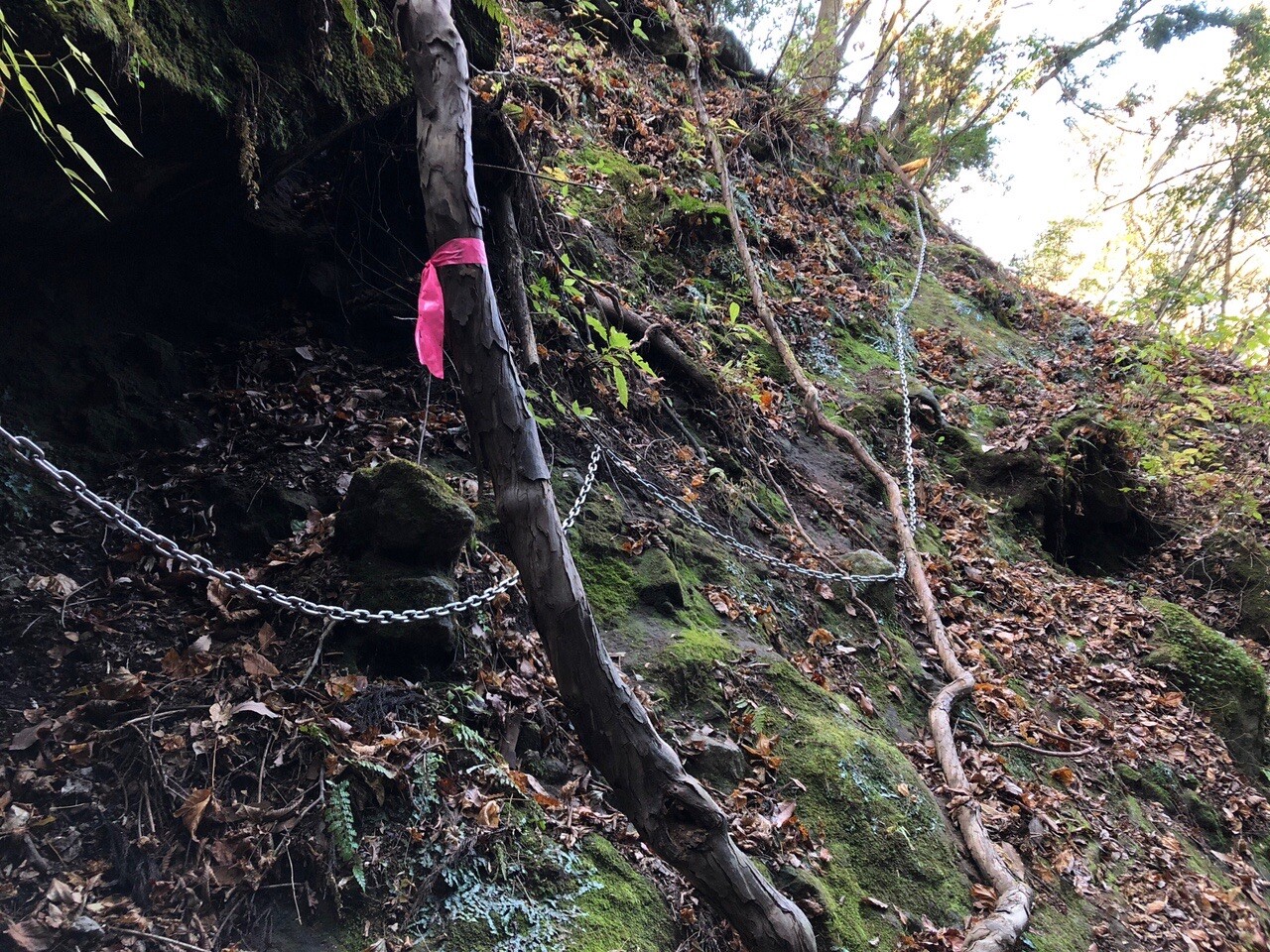 KEIさんの投稿したフィールドメモ | YAMAP / ヤマップ