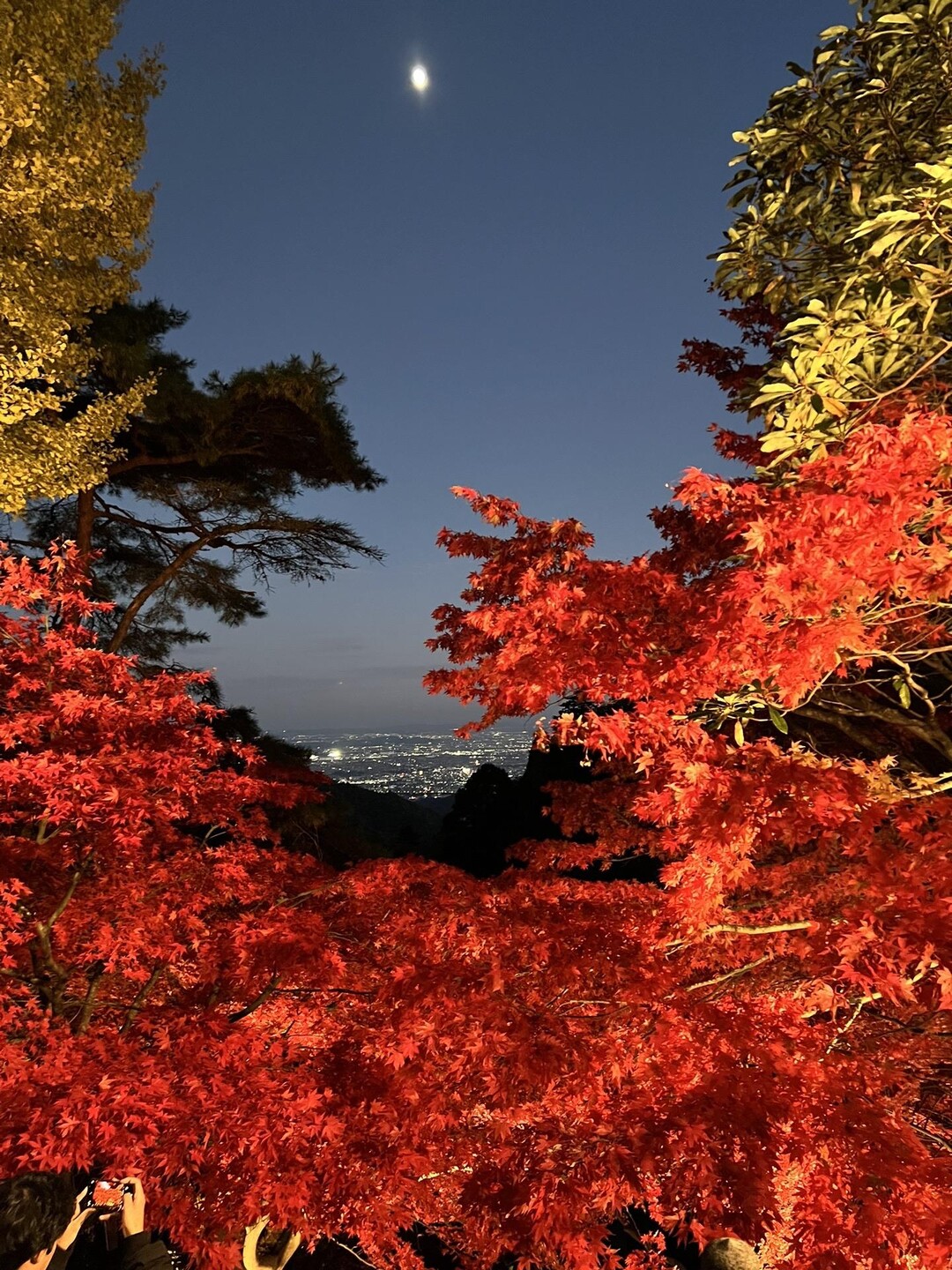 大山ハイク / Nic_kgさんの大山の活動データ | YAMAP / ヤマップ