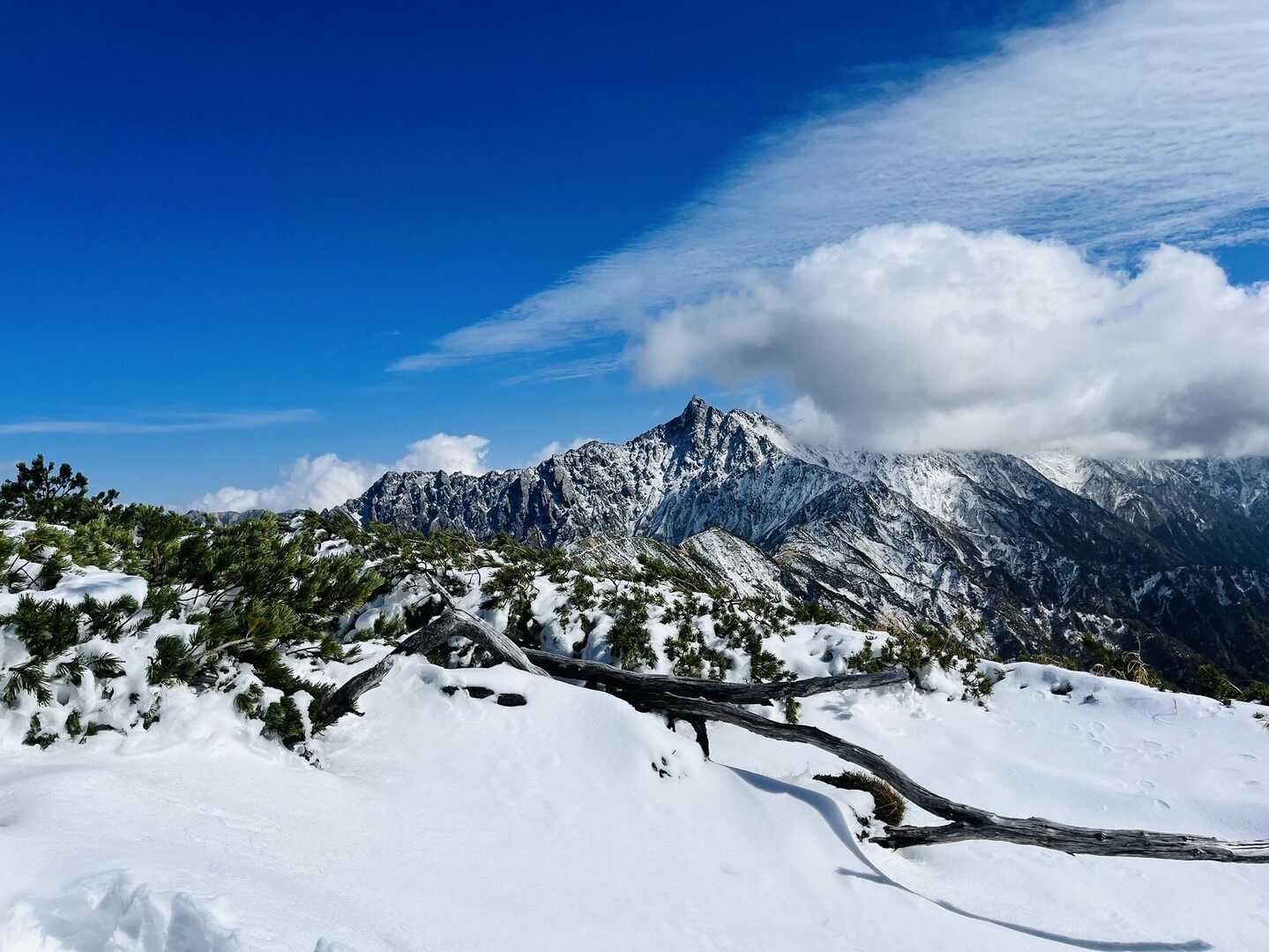 樅沢岳 / muramiさんの槍ヶ岳・穂高岳・上高地の活動データ | YAMAP / ヤマップ