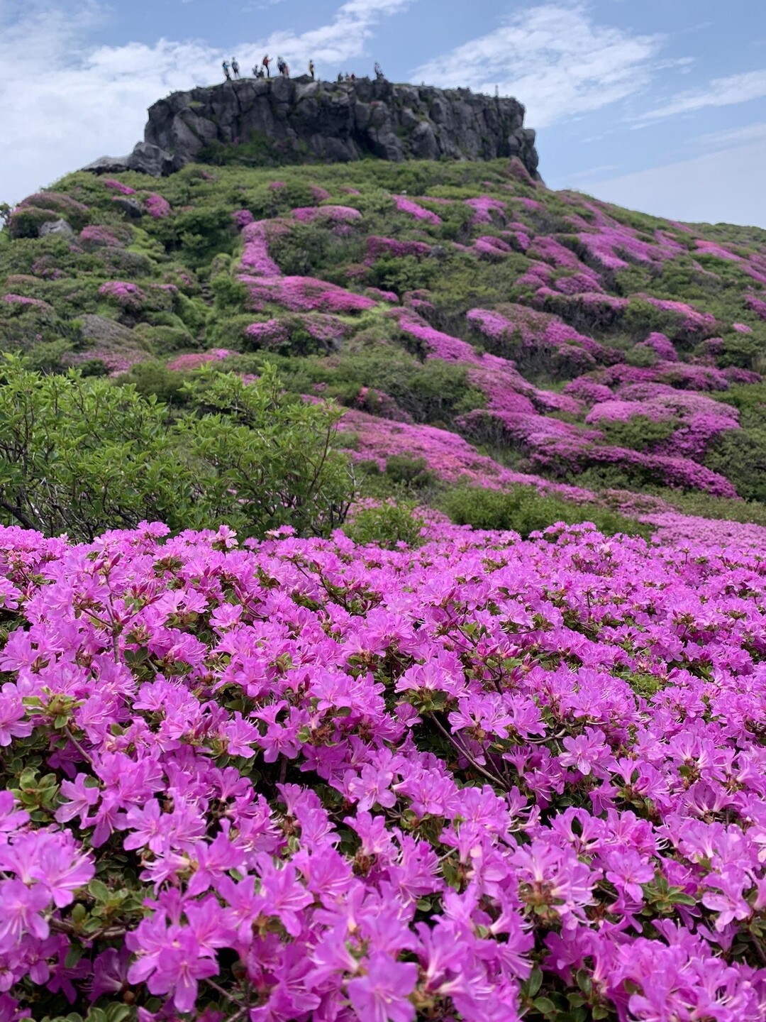 ミヤマキリシマ🌸の阿蘇山⛰️ けいこさんの阿蘇山・高岳・根子岳の活動データ Yamap ヤマップ