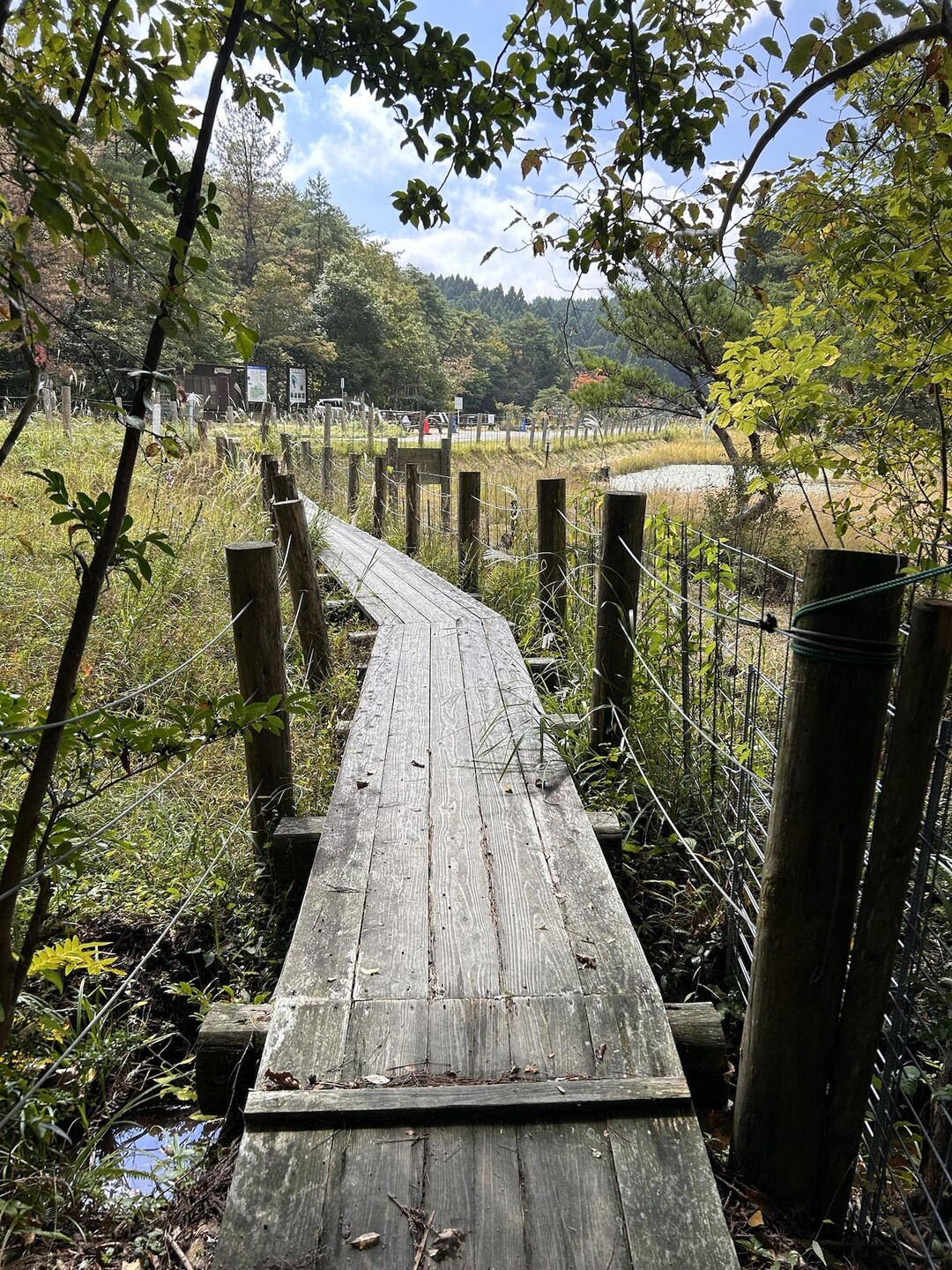 樫原湿原へ、その前に笛岳・亀岳 / t@ke-bowさんの雷山・井原山の活動データ | YAMAP / ヤマップ
