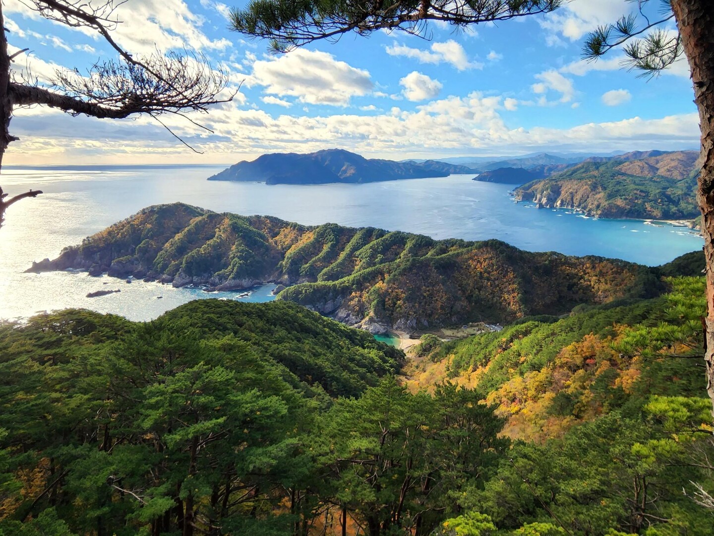 本州最東端魹ヶ崎灯台と魹山 / jmamaさんの魹山（とど山）の活動データ | YAMAP / ヤマップ