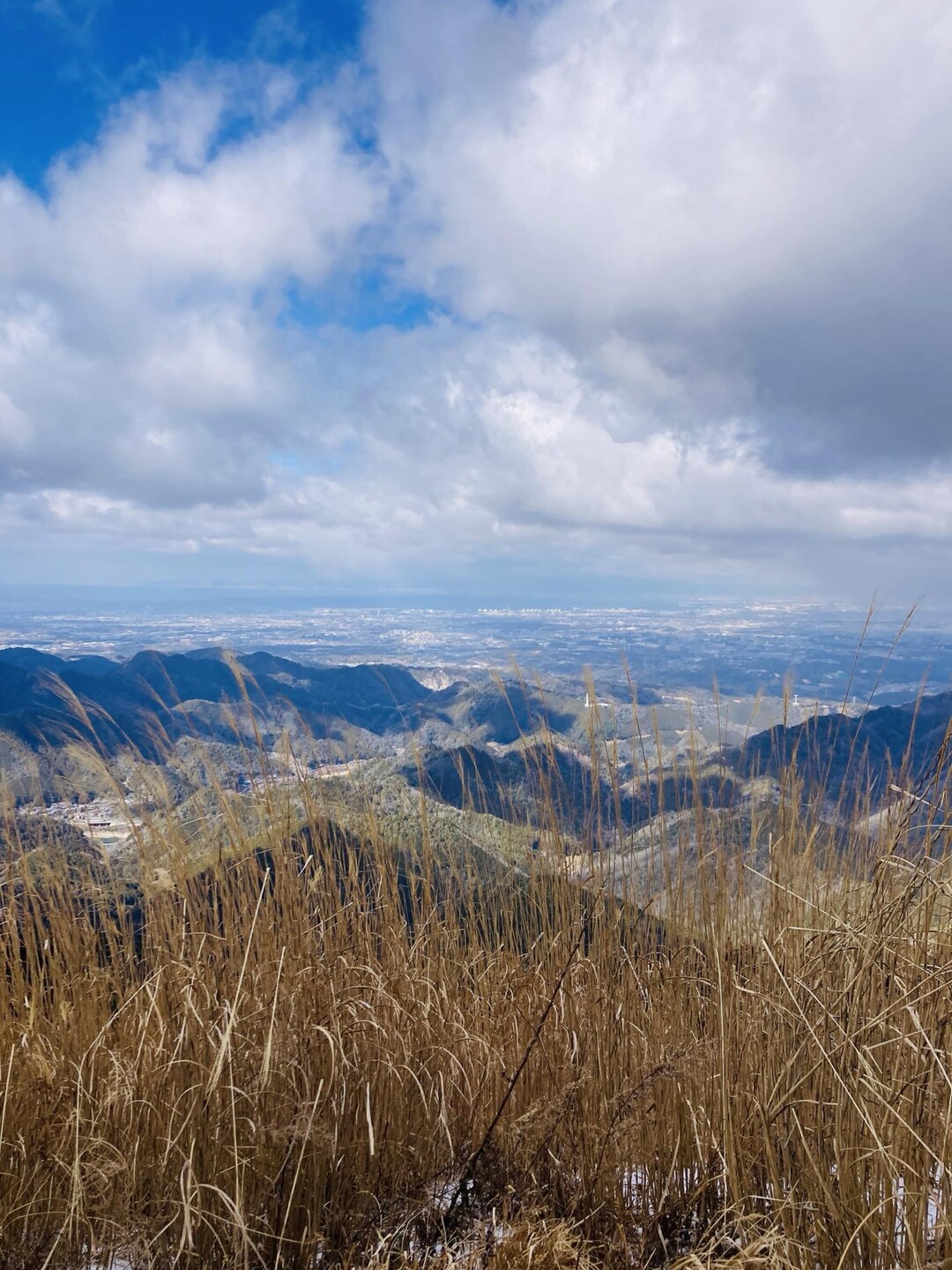 岩湧山2025-02-11 / azuさんの岩湧山・一徳防山・三石山の活動データ | YAMAP / ヤマップ