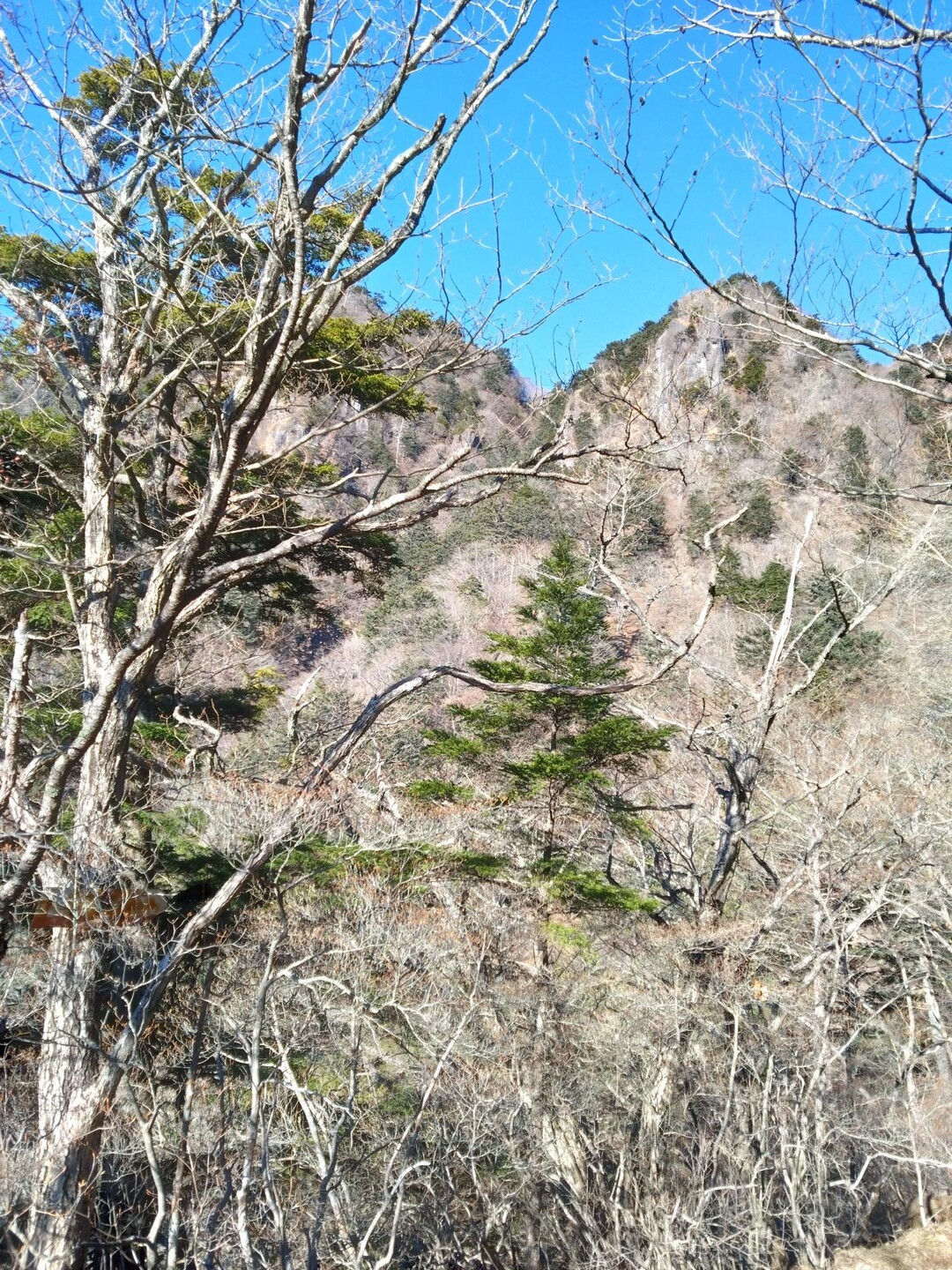 三ッ峠山（開運山）西桂スマートICより / るみっぺさんの三ッ峠山・本社ヶ丸・鶴ヶ鳥屋山の活動データ | YAMAP / ヤマップ