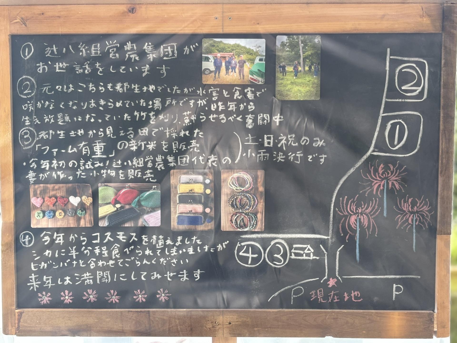 足の調子もパッとせず.... 近場で彼... / kyoh-co55さんのモーメント | YAMAP / ヤマップ