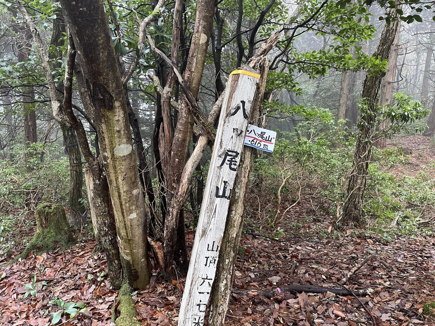 高取山・八ッ尾山 / fukapuさんの八ツ尾山・高取山・正楽寺山の活動データ | YAMAP / ヤマップ