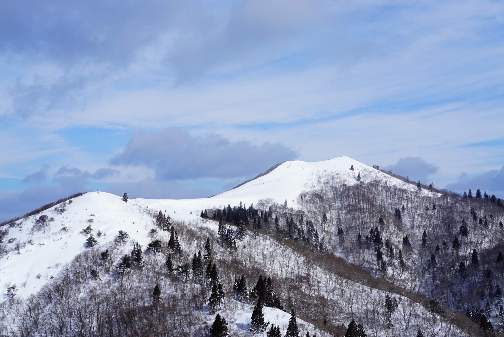 御殿山・武奈ヶ岳 / Zen Kooさんの比良山地・武奈ヶ岳・釈迦岳の活動データ | YAMAP / ヤマップ