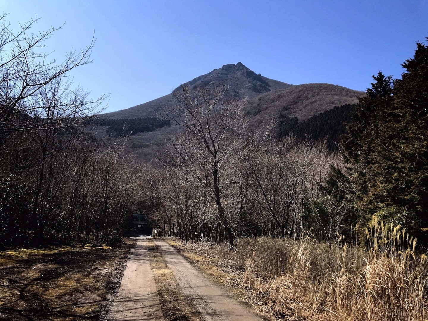 月イチ由布岳 2月 あんま時間無くて晴天... / Coki-aさんのモーメント | YAMAP / ヤマップ