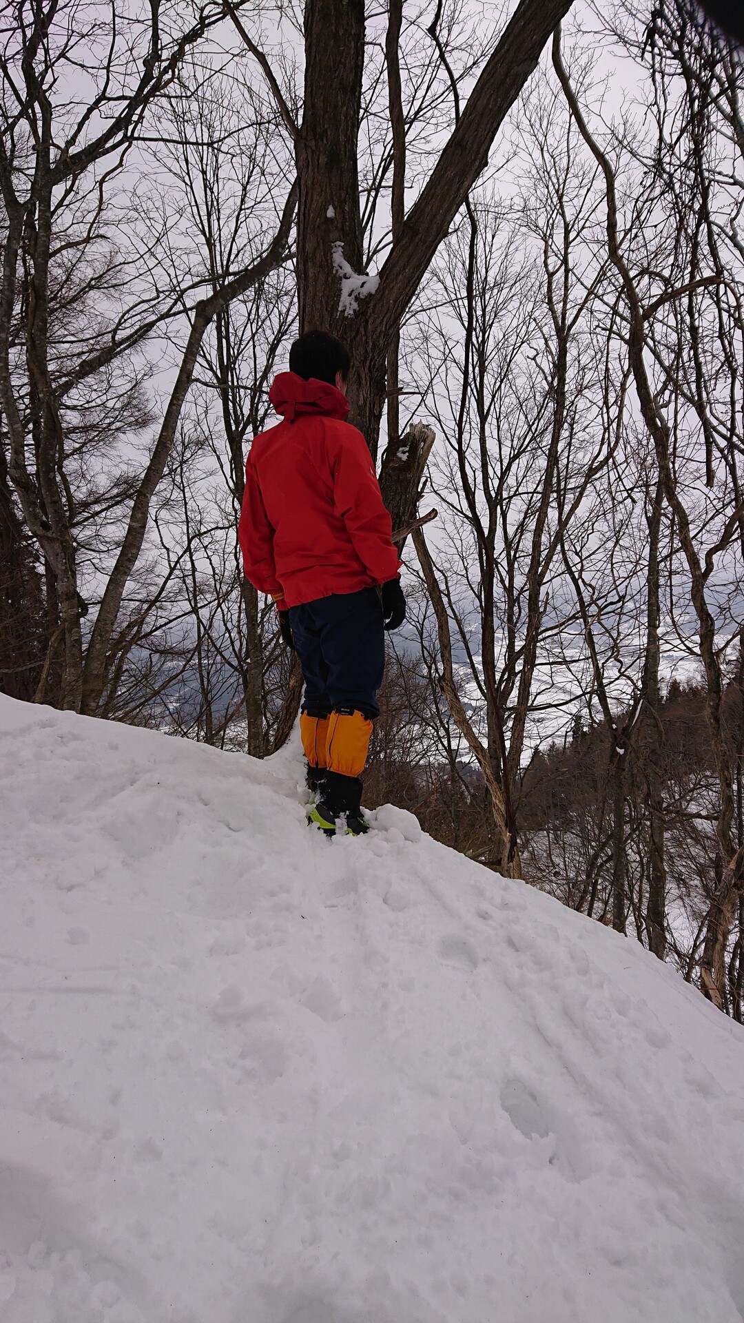 東鳥海山途中撤退-2020-01-28 / RYOさんの甑山の活動データ | YAMAP / ヤマップ