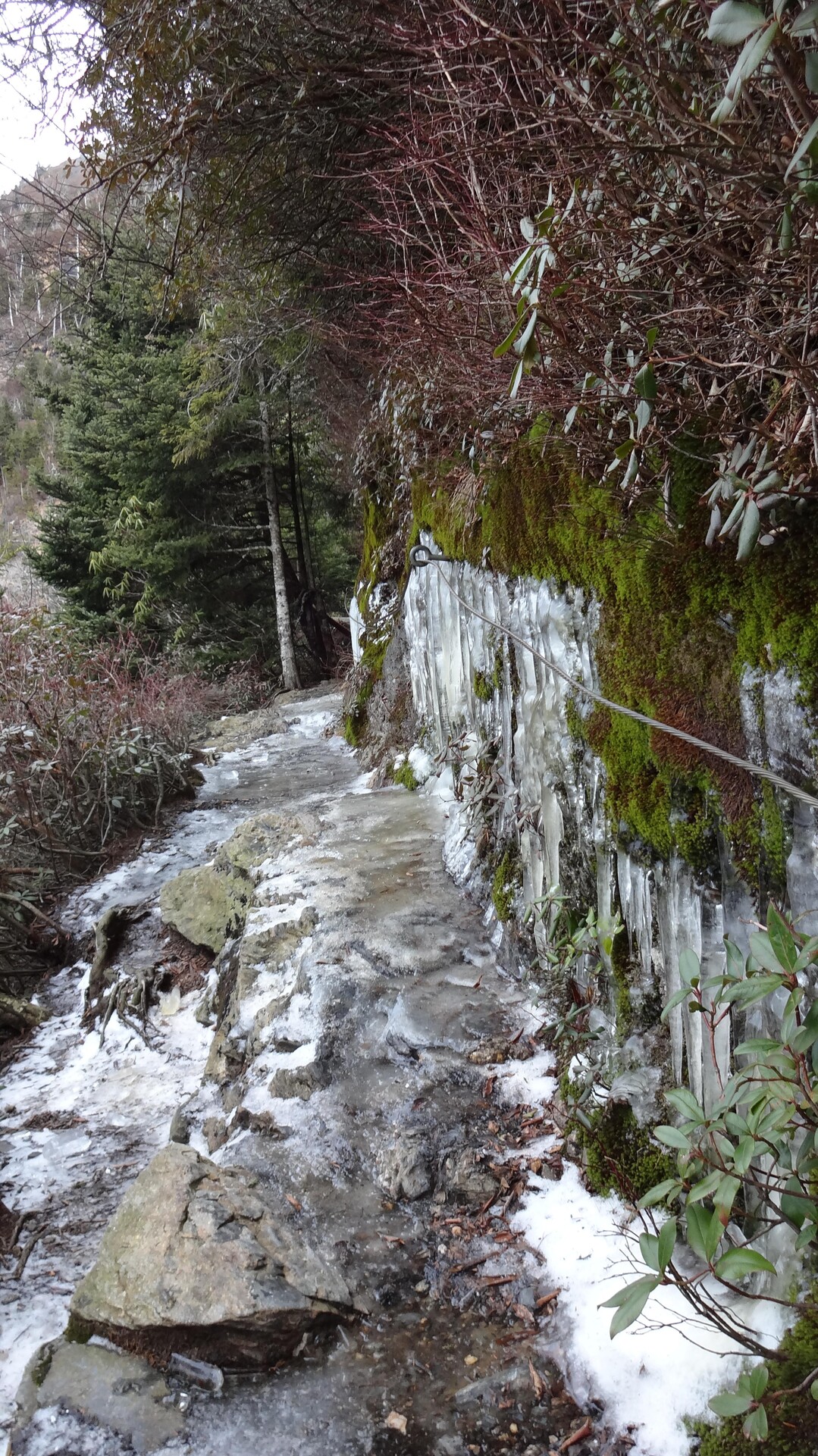 Alum Cave Trail to Mount LeConte and Charlies Bunion 縦走 / ha_linaさんのグレート・スモーキー山脈国立公園の活動データ ...