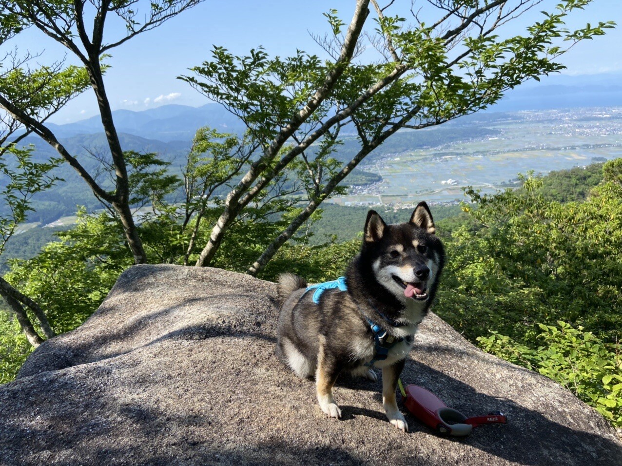 リトル比良 リトルスネーク 一杯や / Corchanさんの比良山地・武奈ヶ岳・釈迦岳の活動データ | YAMAP / ヤマップ