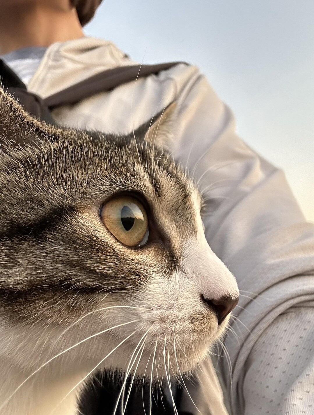 今日の猫散歩🐈🚶‍♀️ その後、1人... / macoさんのモーメント | YAMAP / ヤマップ