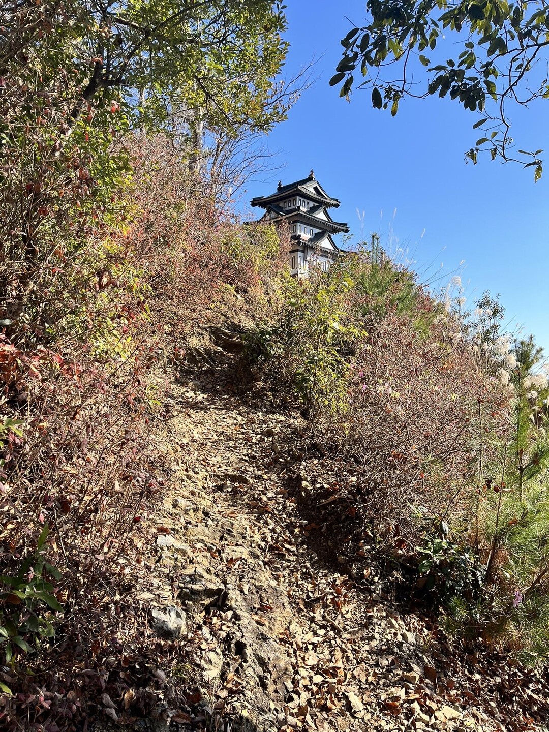 古城山 / mitsu32さんの古城山の活動データ | YAMAP / ヤマップ