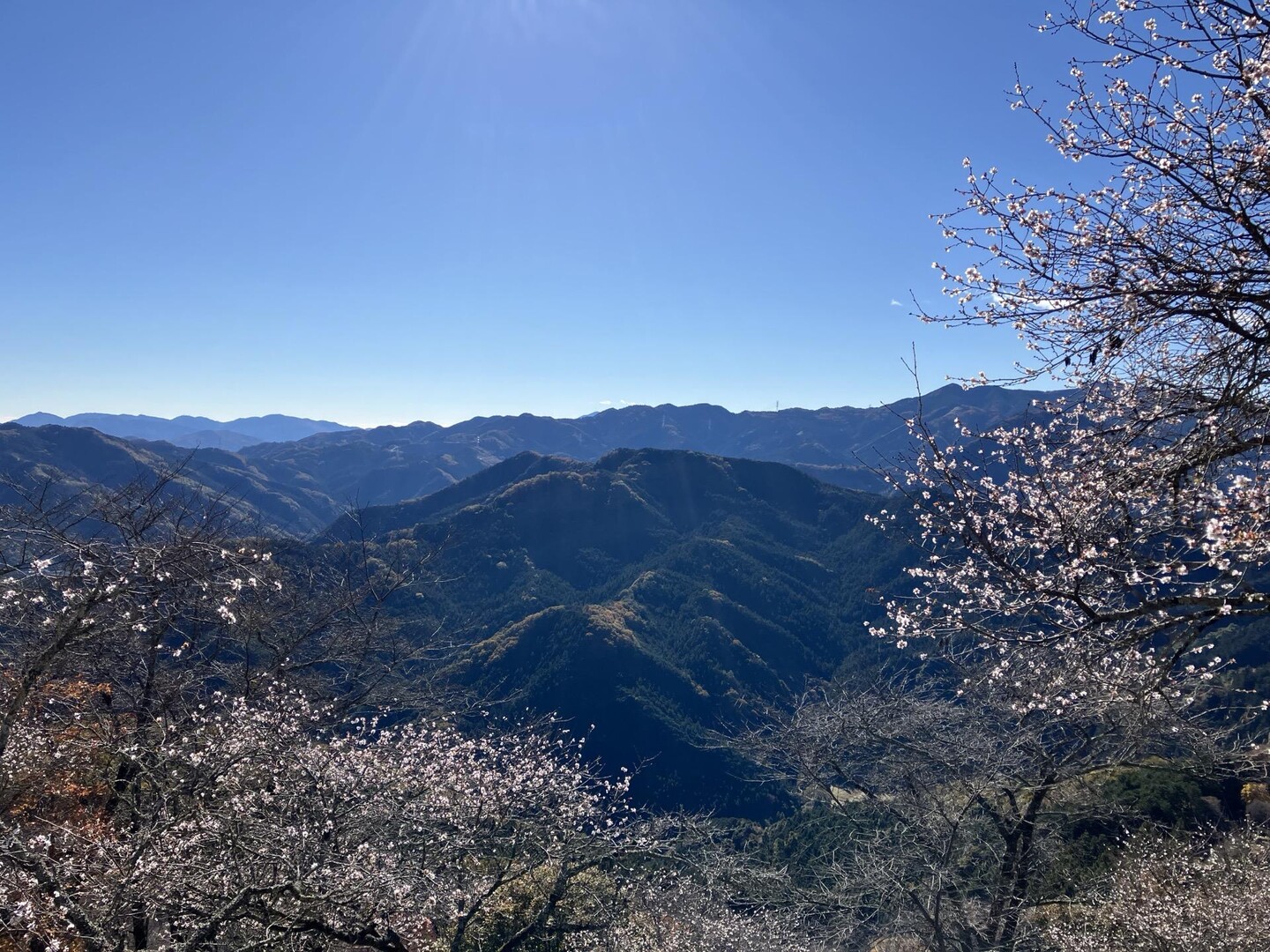 TKのページ | YAMAP / ヤマップ