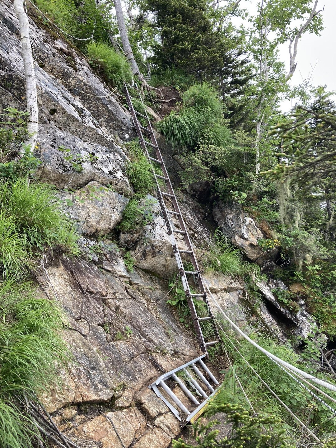 剣山-2023-06-30 / エゾウィンさんの芽室岳・久山岳・剣山の活動データ | YAMAP / ヤマップ