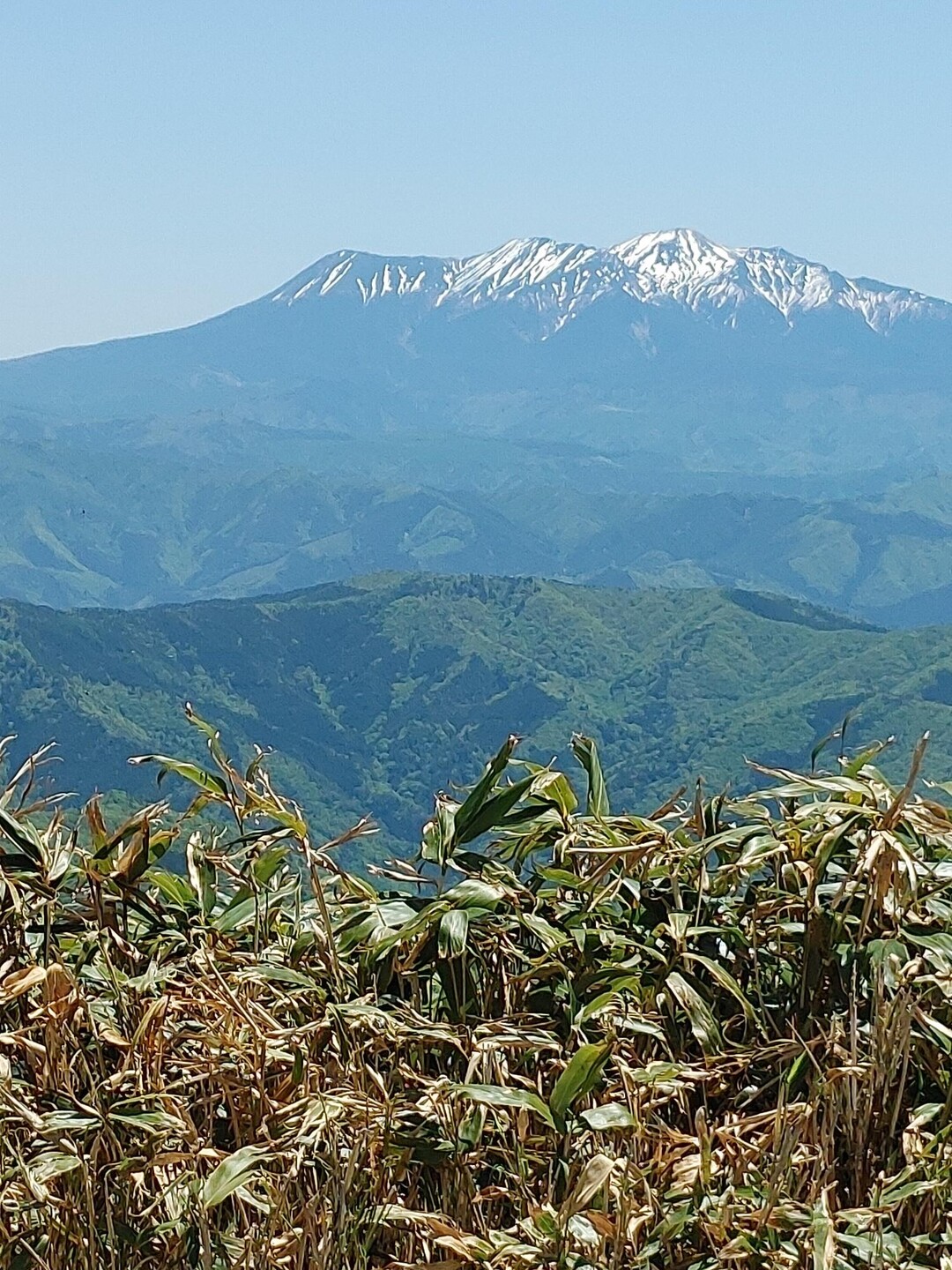 R 6 05 18(土)川上岳 / むらの山ちゃんさんの川上岳・位山・船山（飛騨富士）の活動データ | YAMAP / ヤマップ